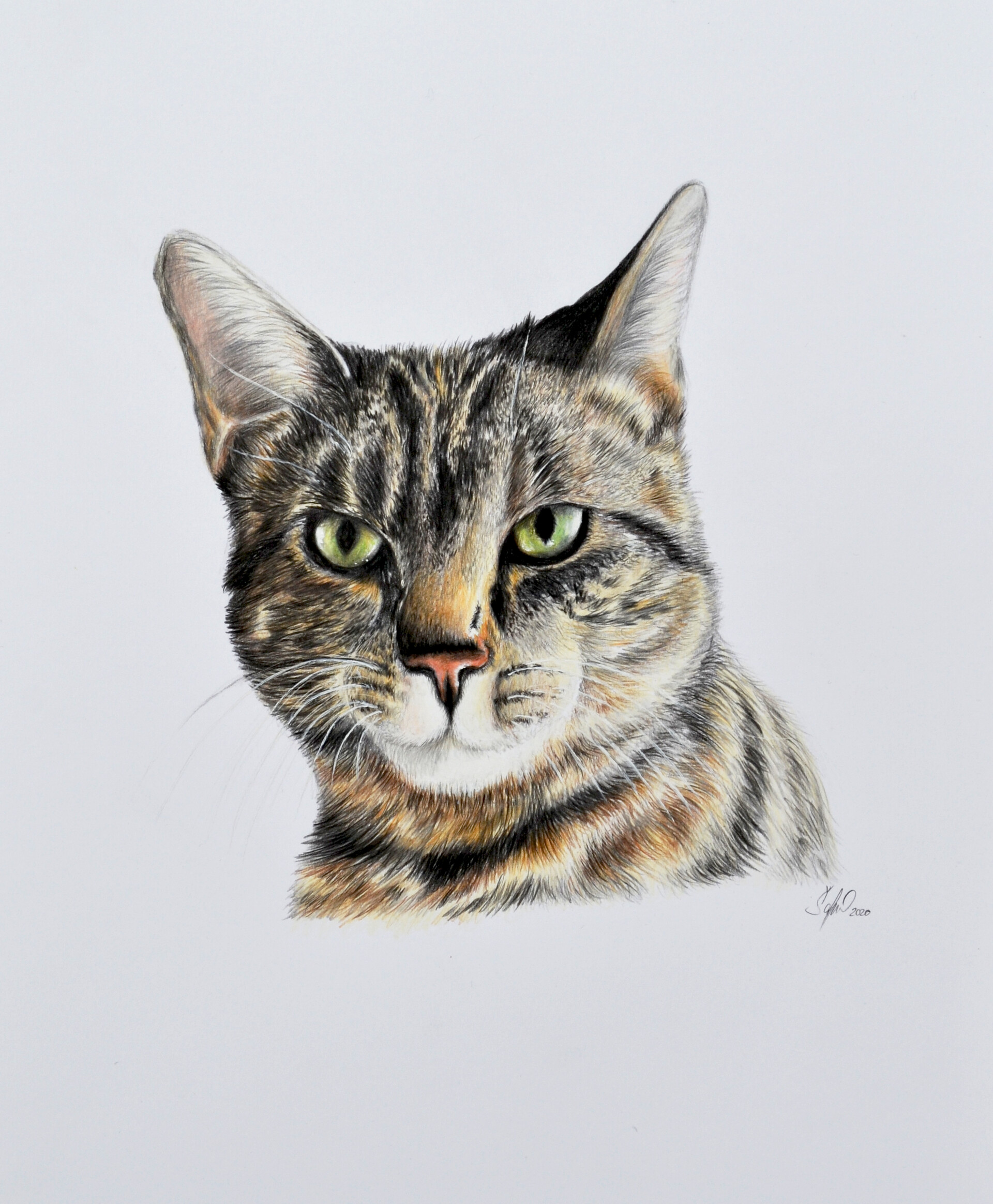 ArtStation - Street cat Šiška