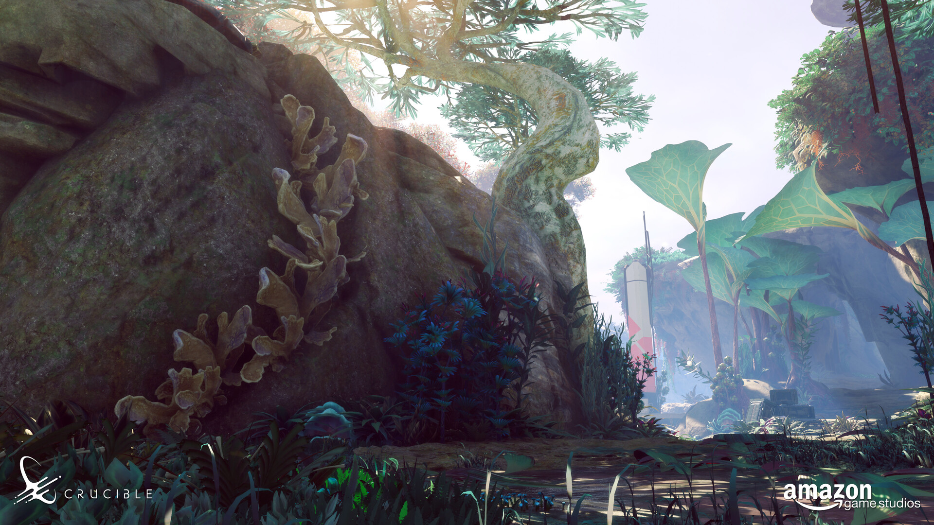 Nathan Gregory-Ito - Crucible - Other Regions