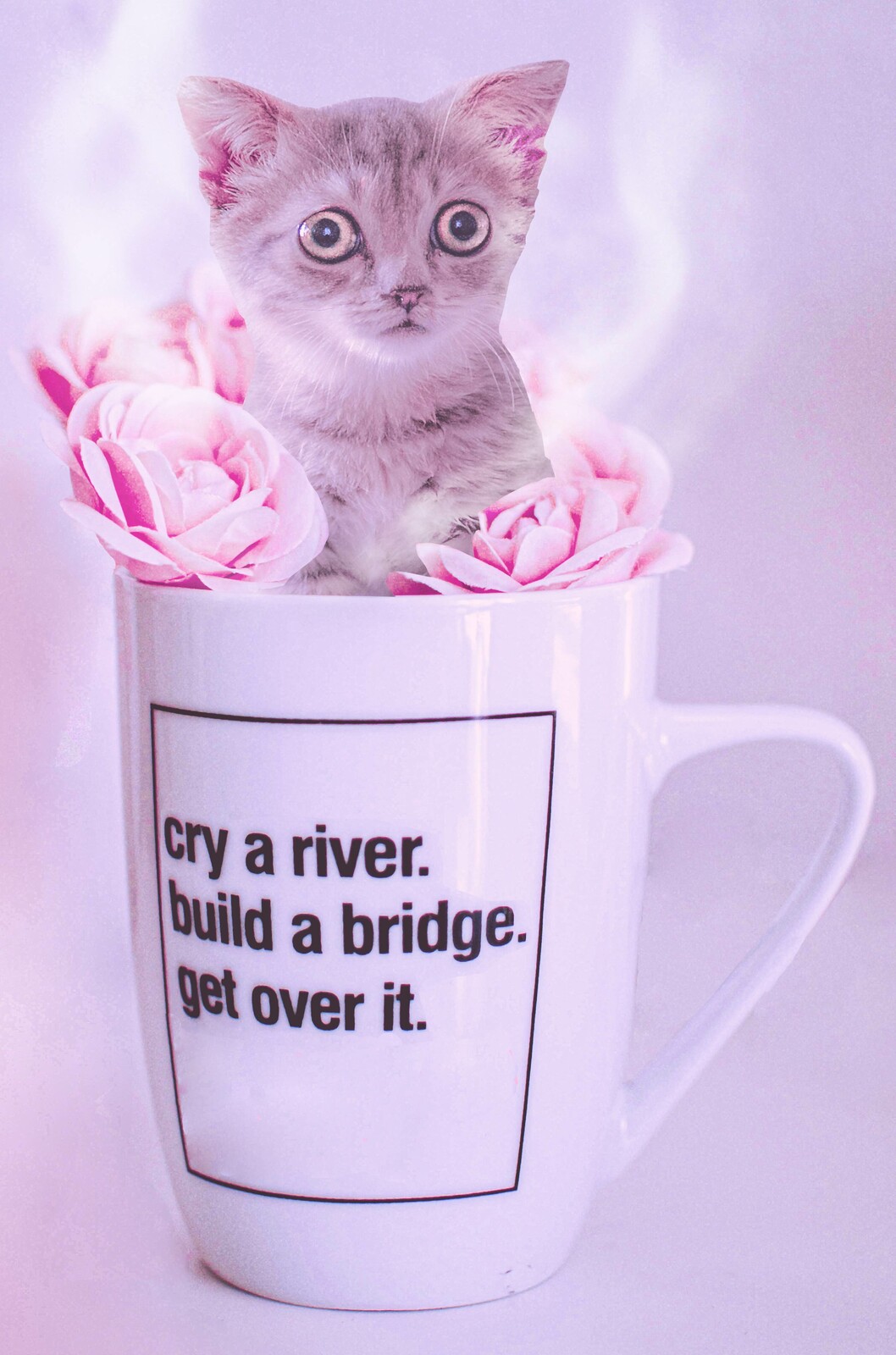 Alyssa Deabenderfer - Cry A Bridge & Get Over It Cat