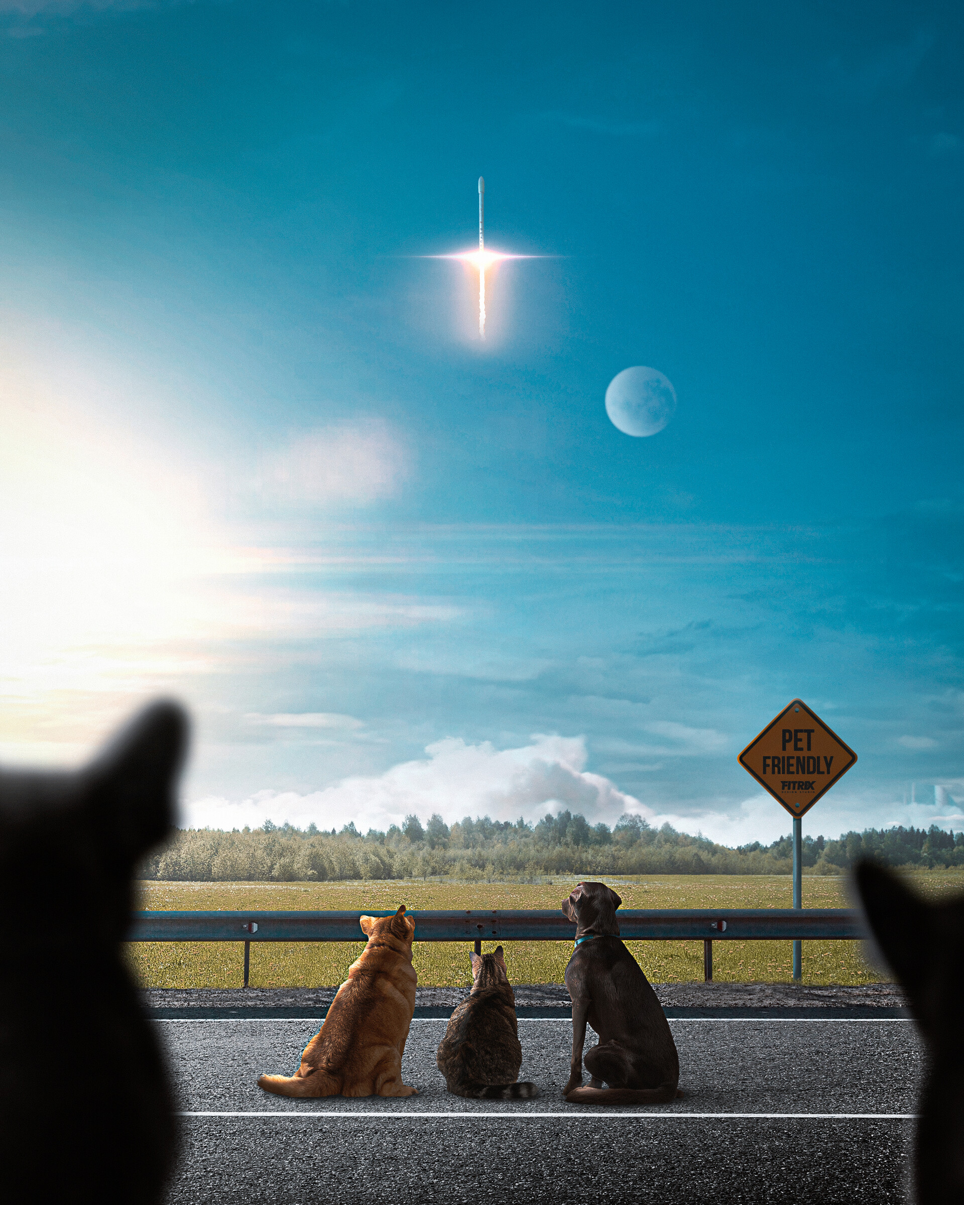 ArtStation - Space Dogs