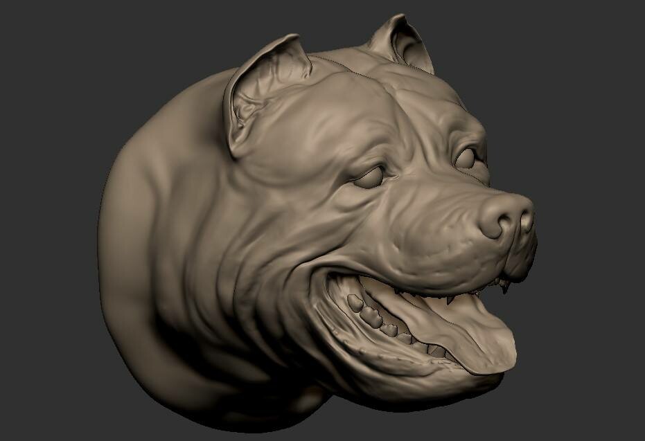 ArtStation - Pitbull