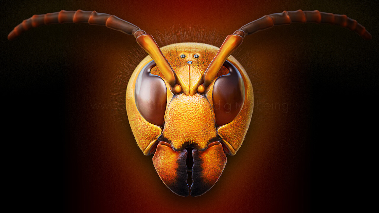 ArtStation - The Hornet (2017)