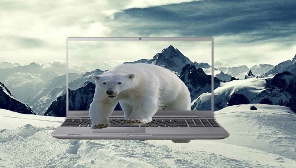 ArtStation - polar bear screen