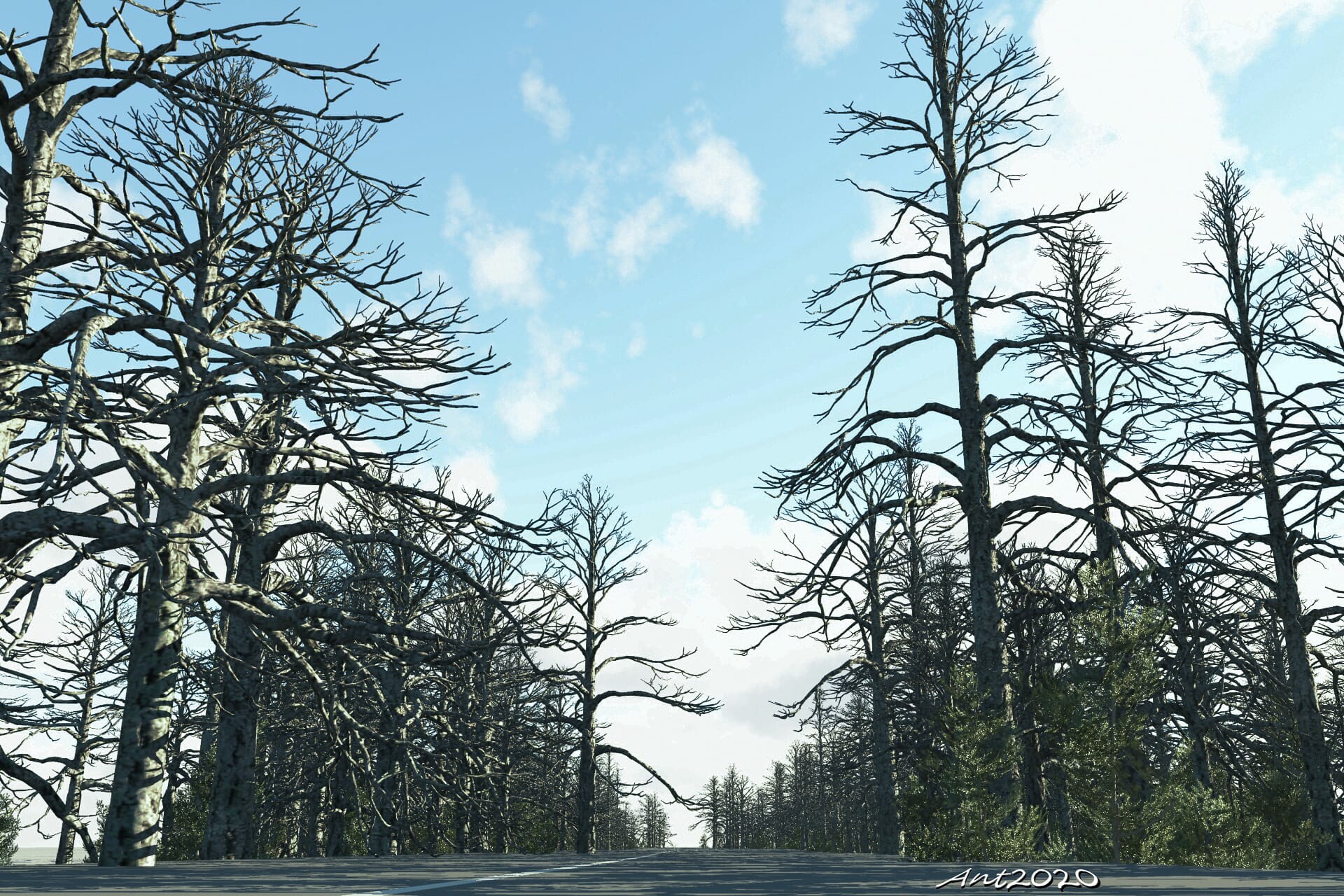 ArtStation - Forest angel