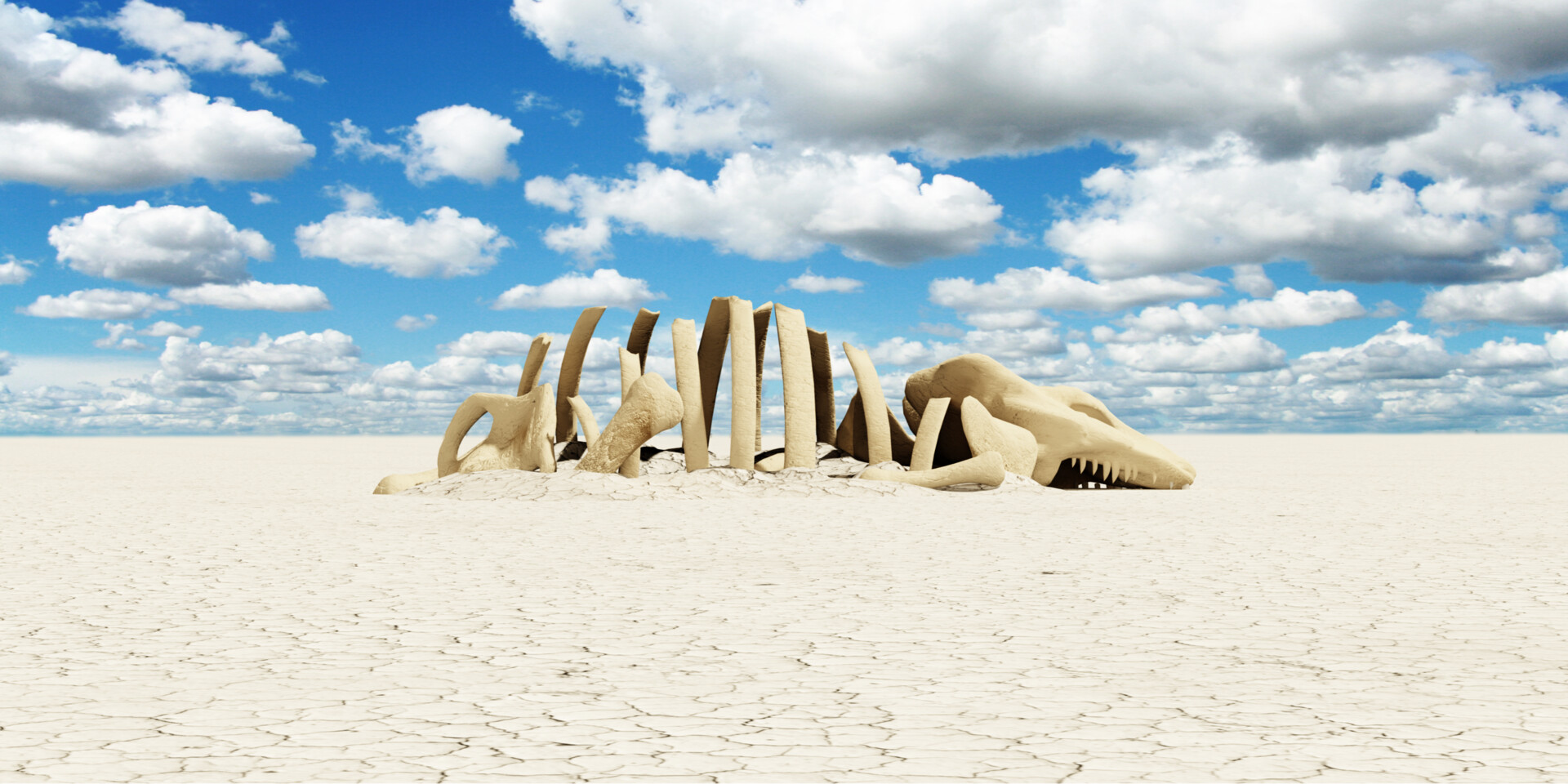 ArtStation - Bones in the Desert