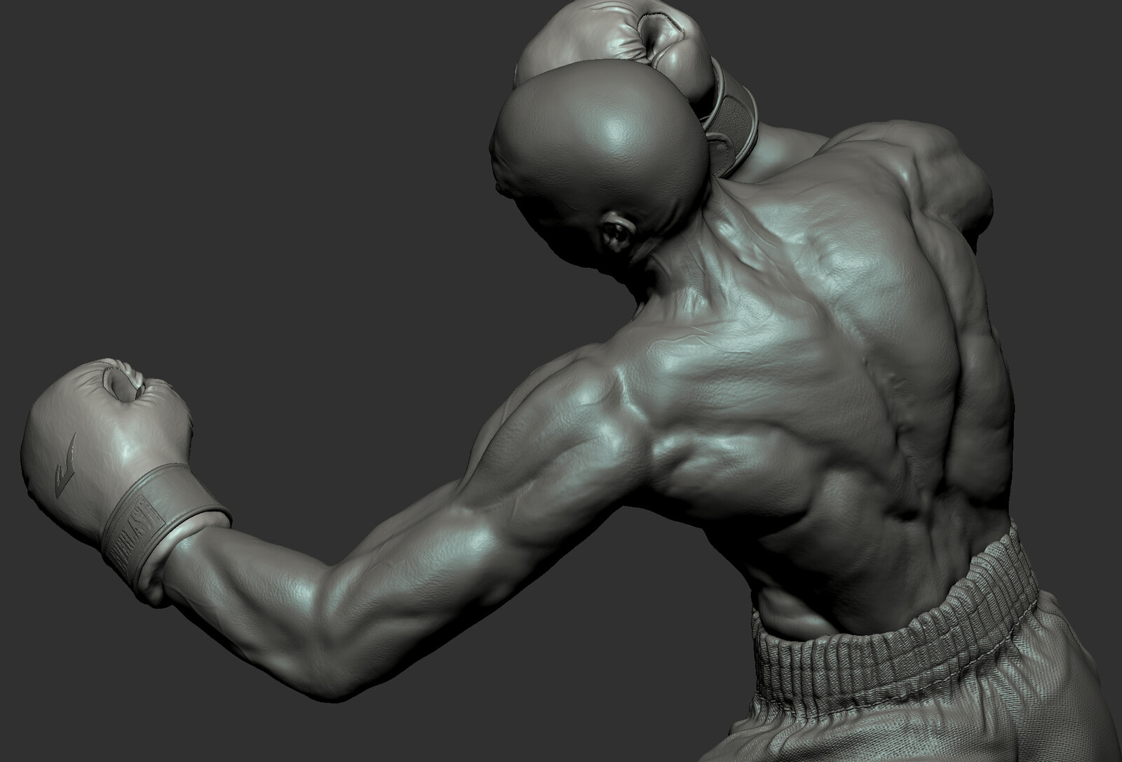 Magno 3d - Boxe - anatomy & gesturing study