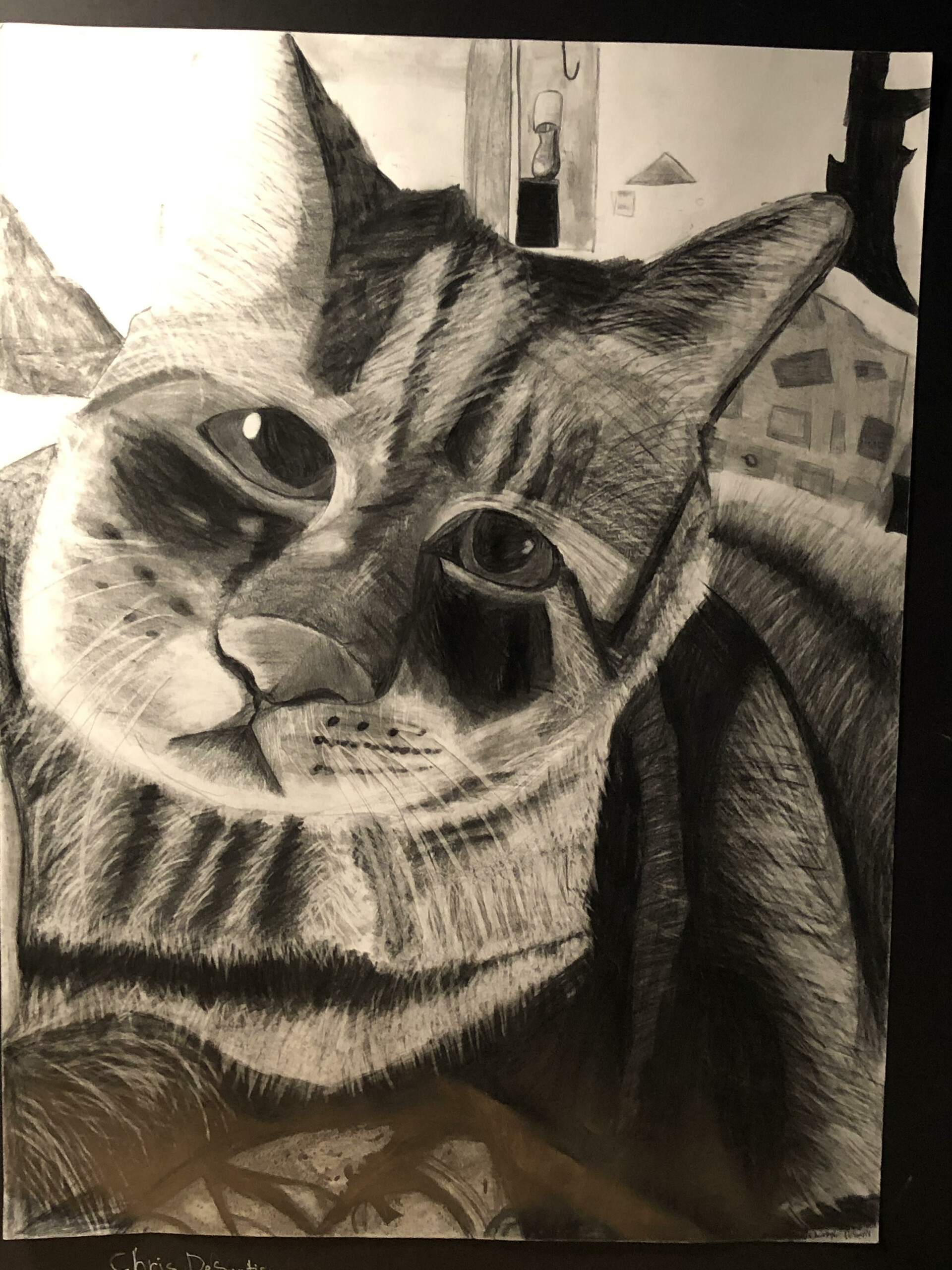 ArtStation - Cat Portrait