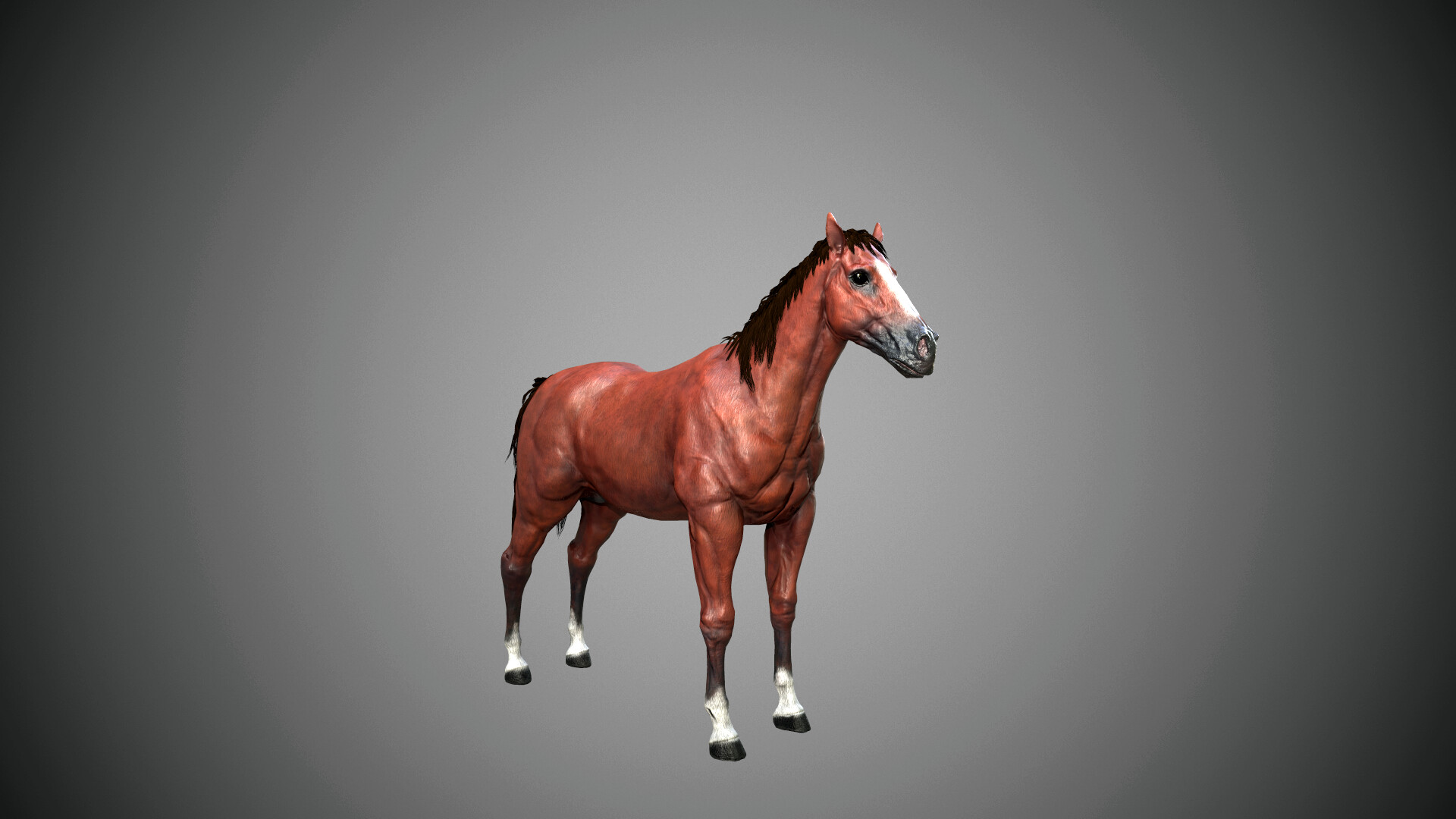 ArtStation - Horse