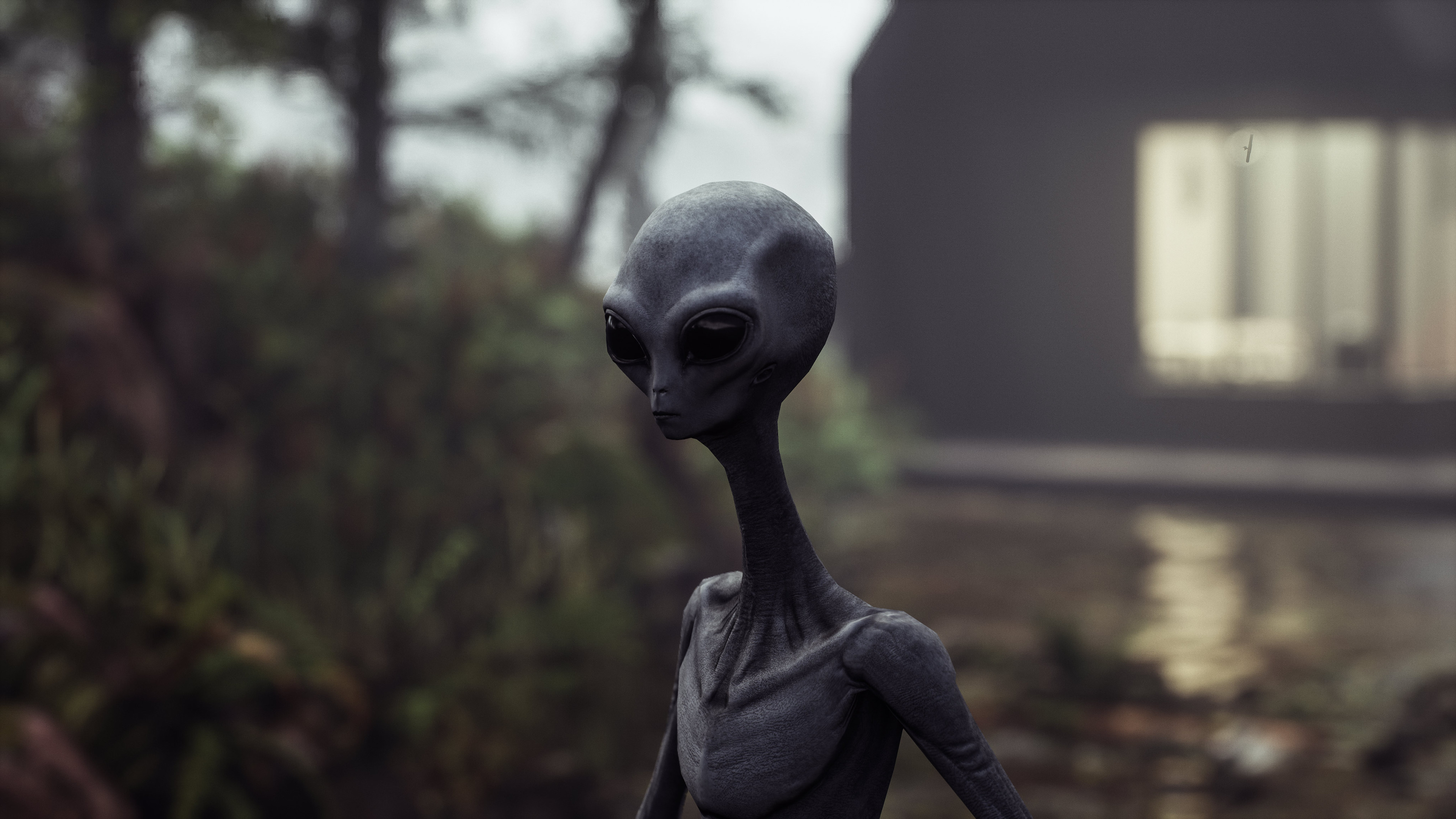 Pasquale Scionti - Grey alien in a forest render with unreal engine 4,25