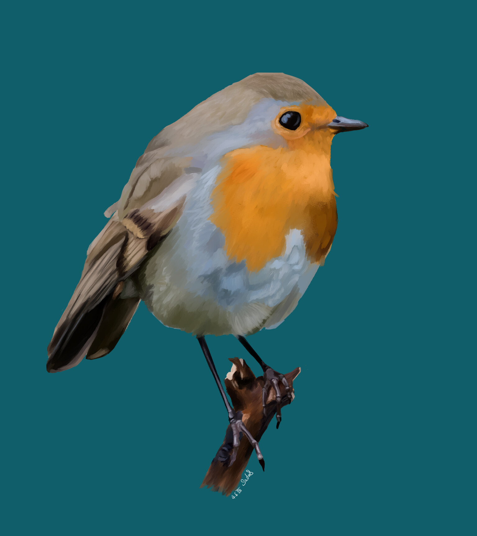 ArtStation - Robin Red Breast