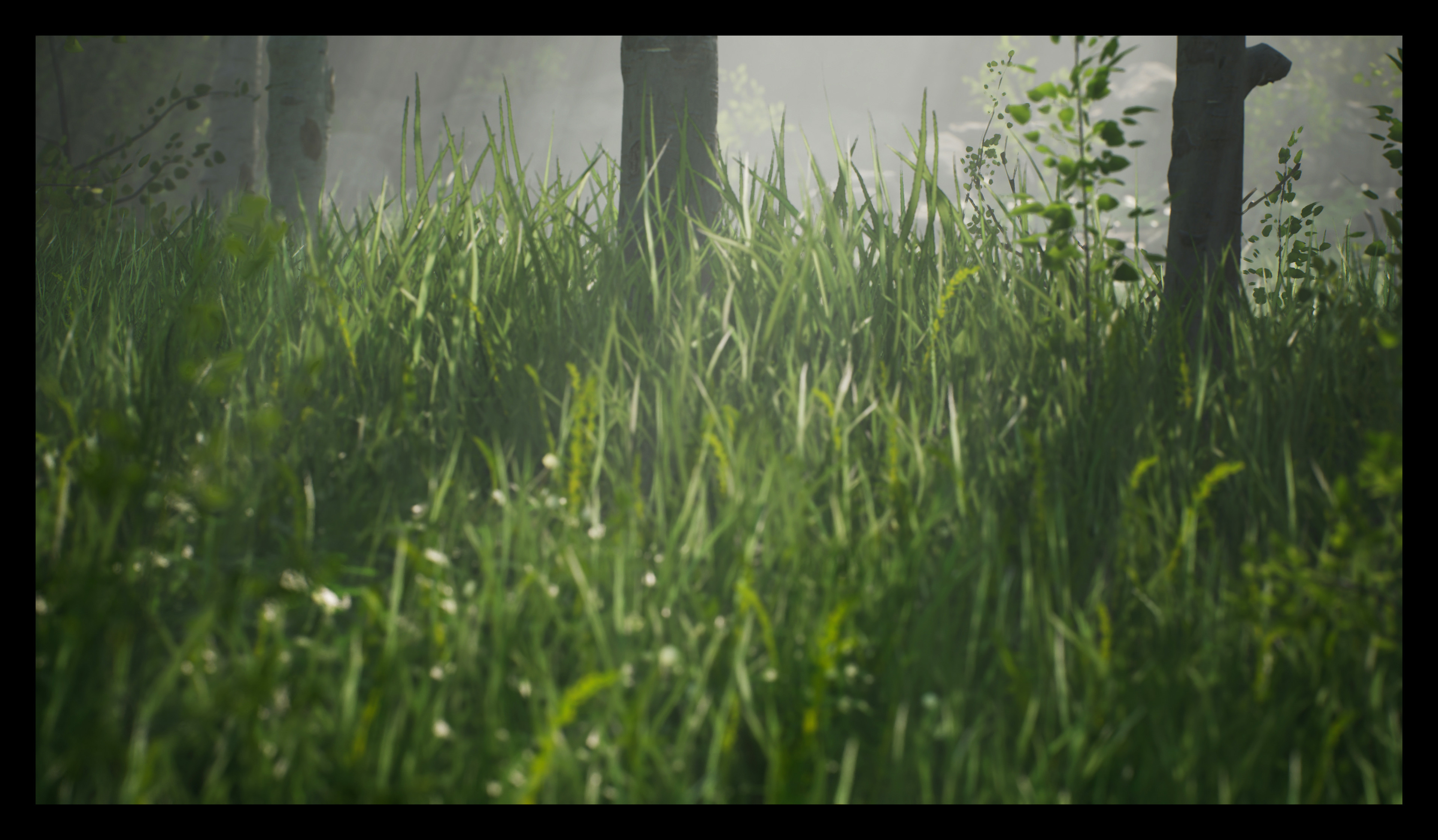 Jonathon Gregory Bick - The Farthest Land