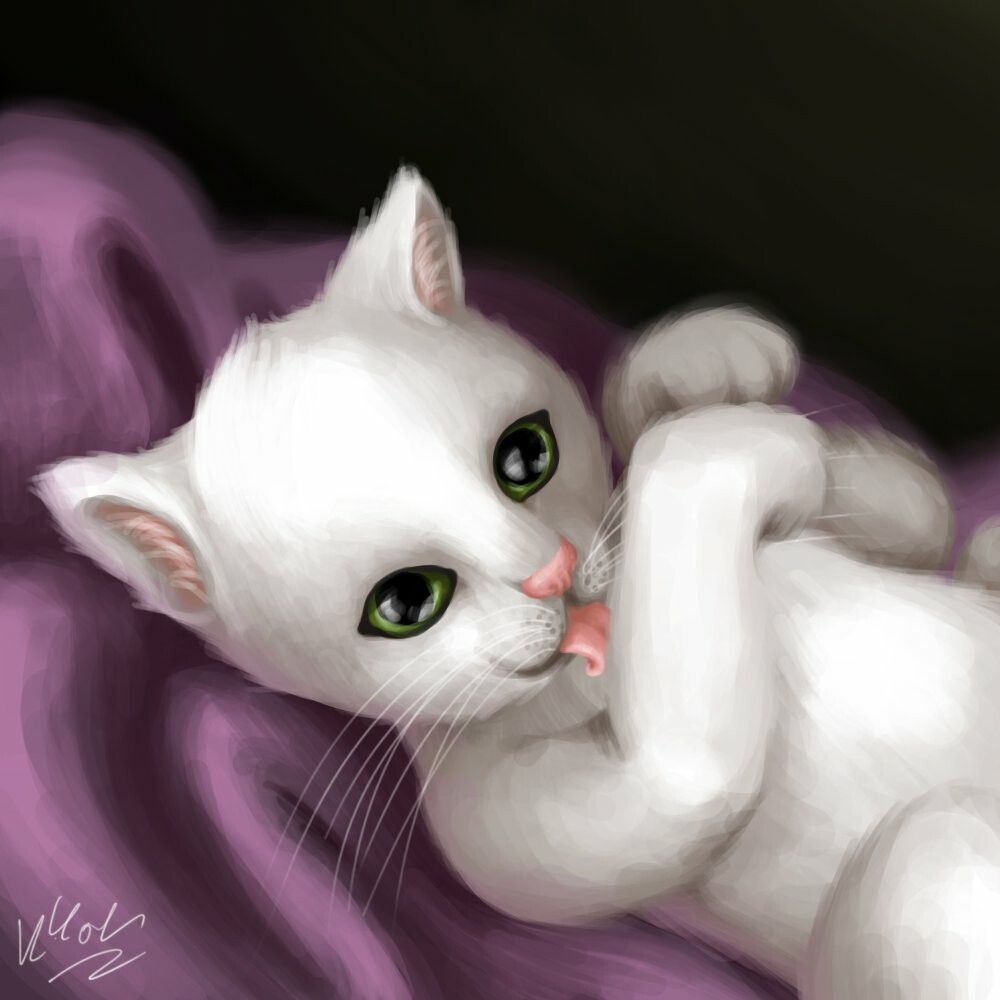 Kim Koch - Cat paintings