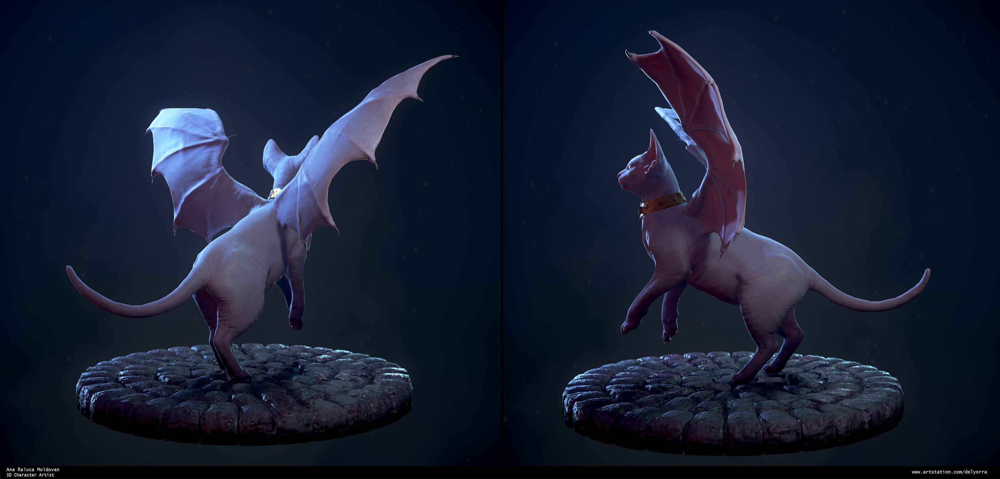 Ana Moldovan - Batcat