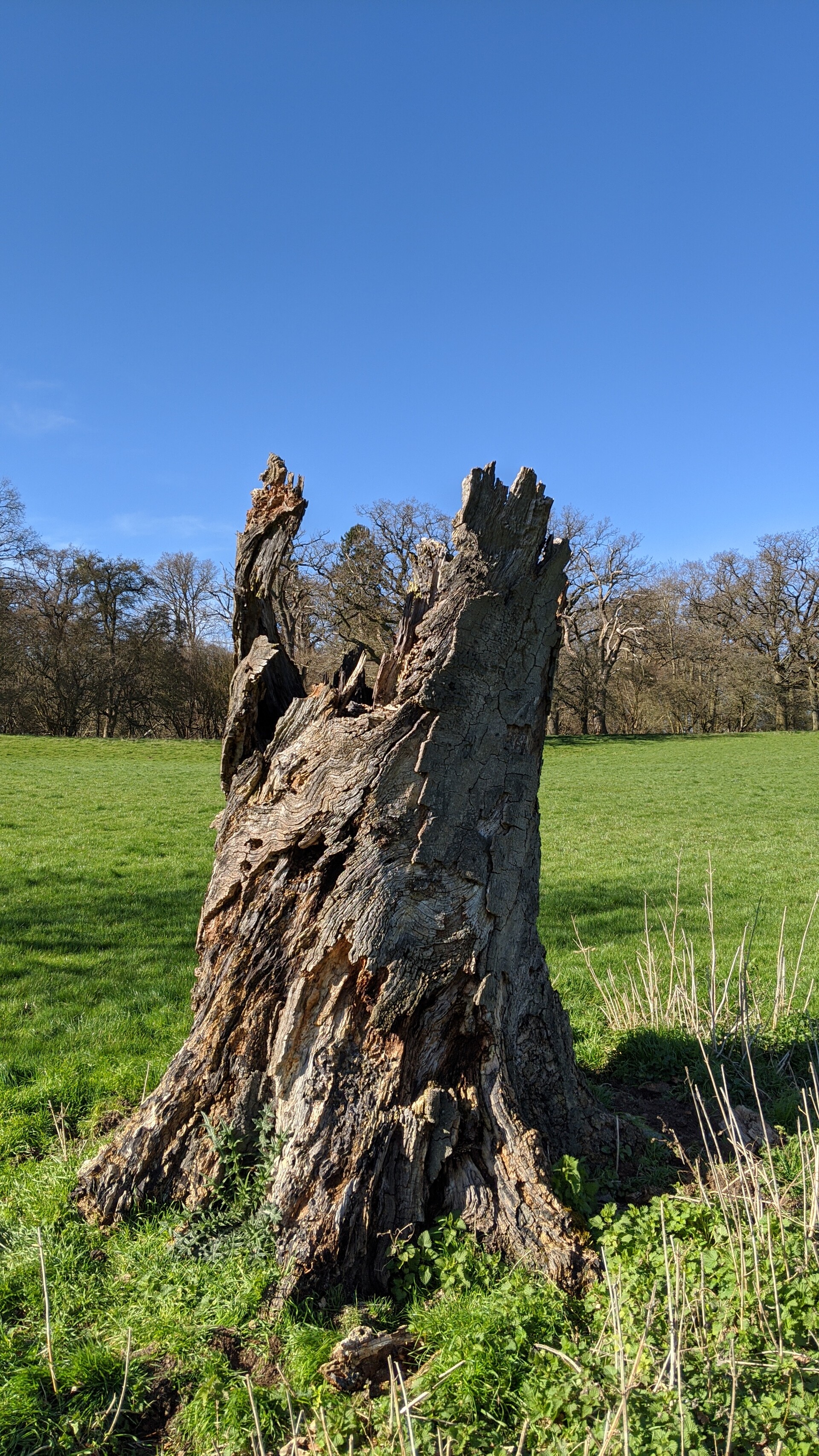 Samuel Walker - Photoscan / Photogrammetry.