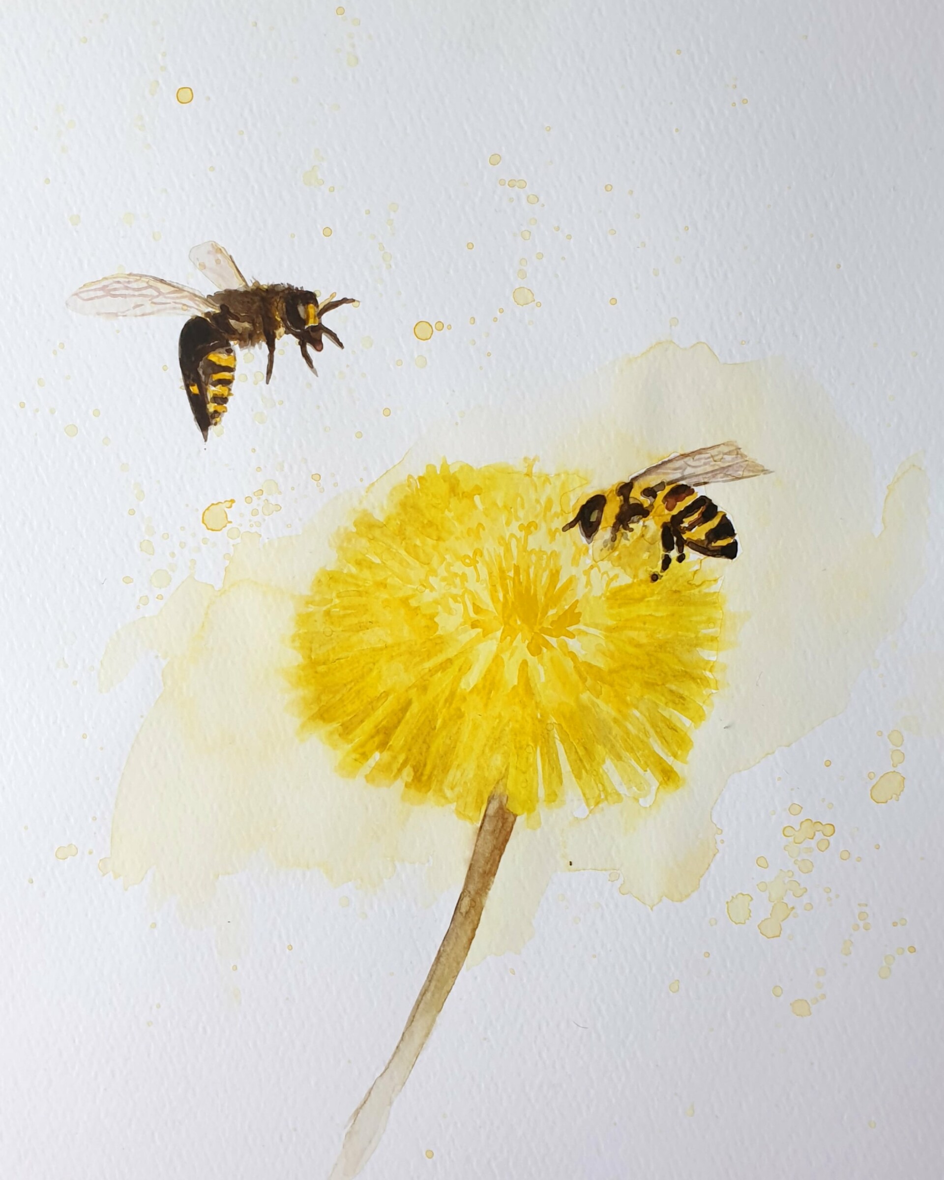 ArtStation - Bees, watercolor