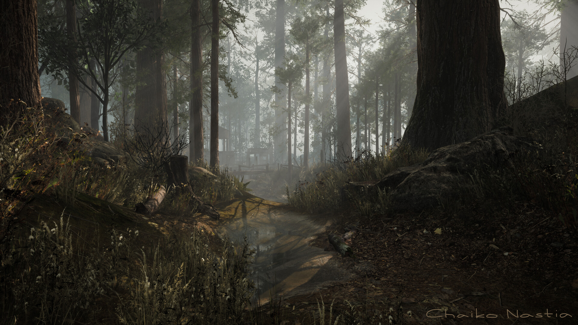 Nastia Chaiko - Level Art & Lighting : Swamp