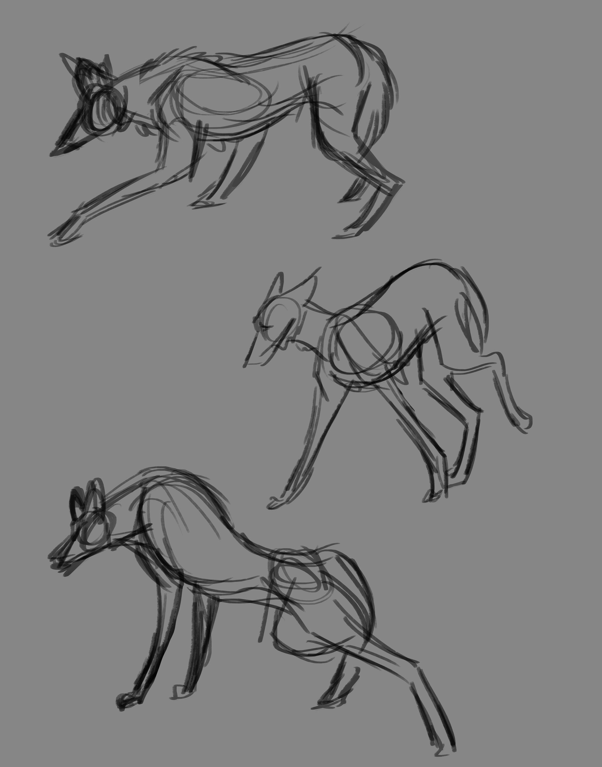 how to draw wolf poses