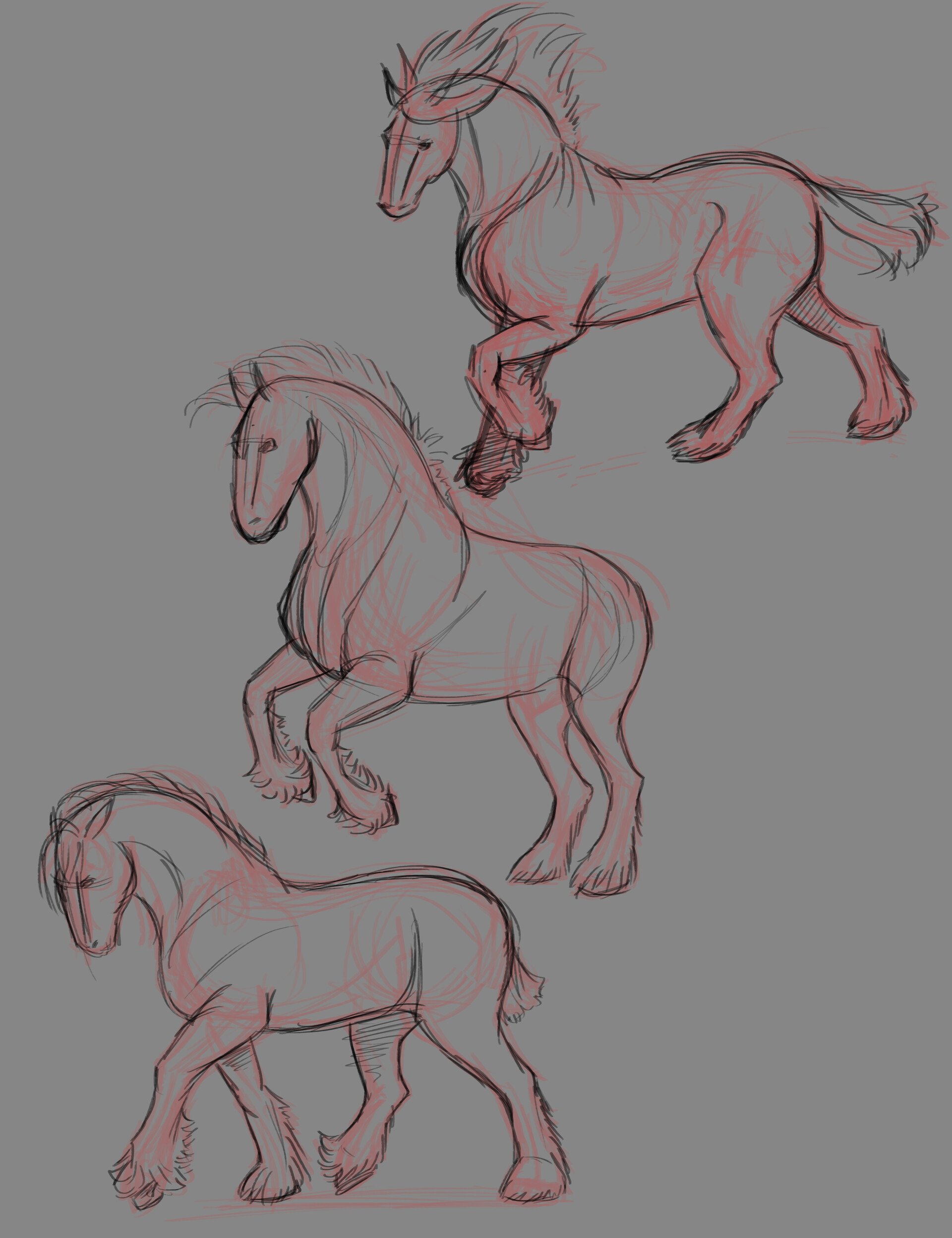 horse standing drawing reference