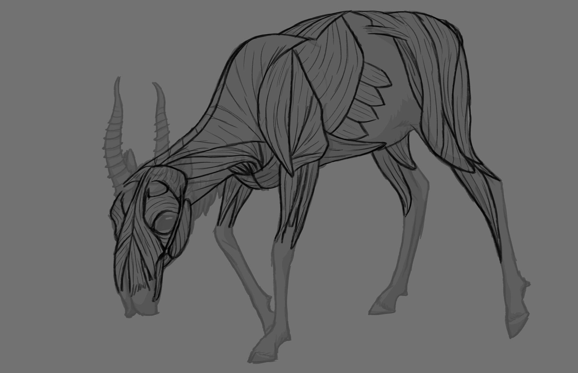 Ekaterina Hearne - Saiga Antelope - Animal Study