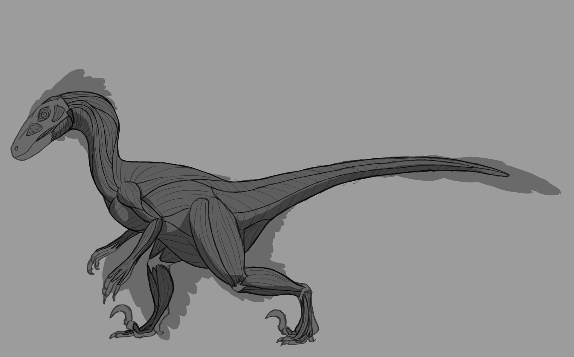 Ekaterina Hearne - Utahraptor - Animal Study