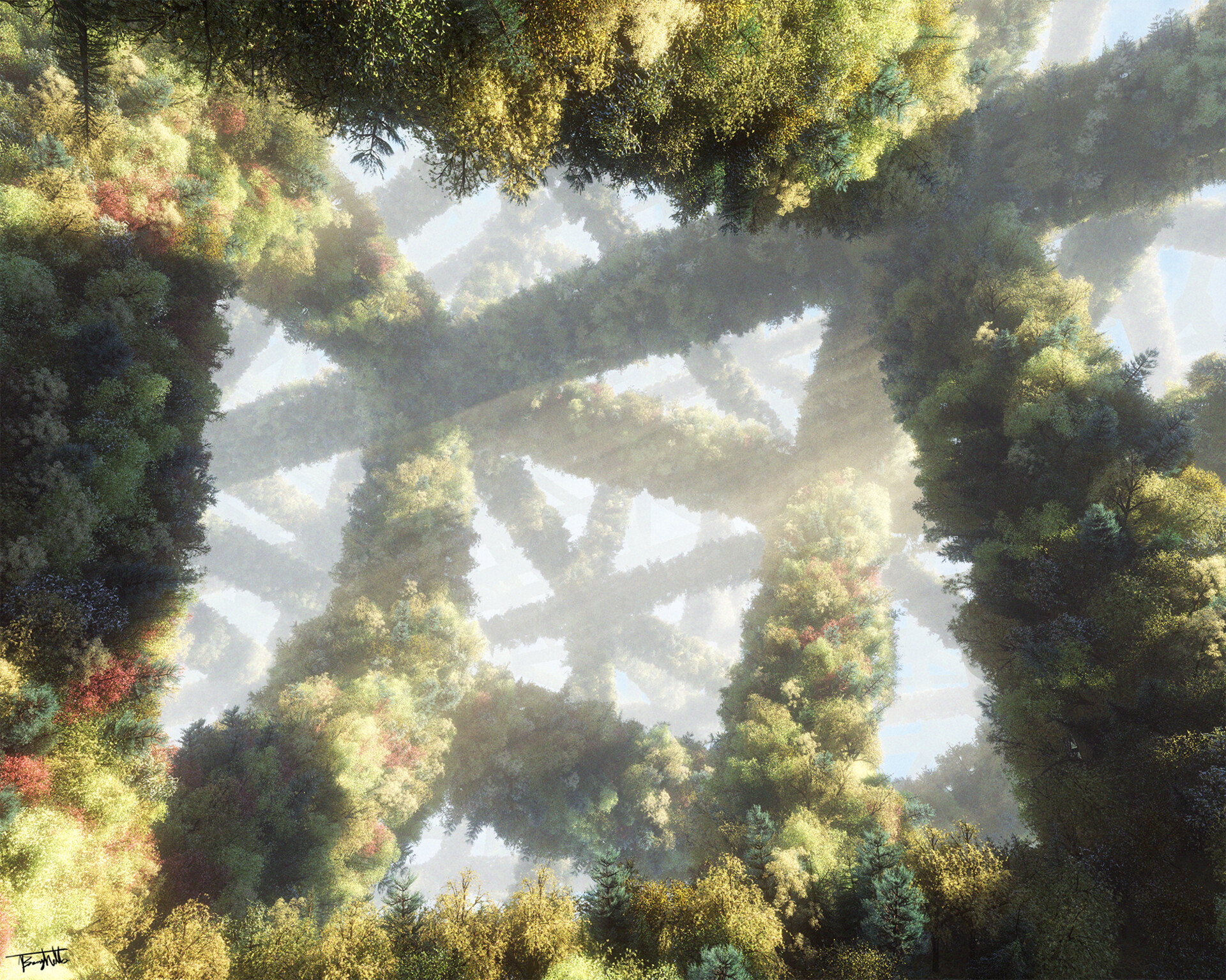 Bruno Braghetto Catoni - Reversion