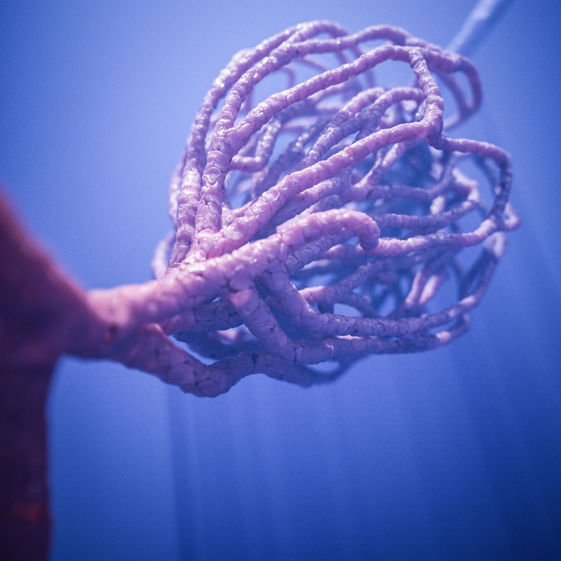 ArtStation - Capillary Blood Flow