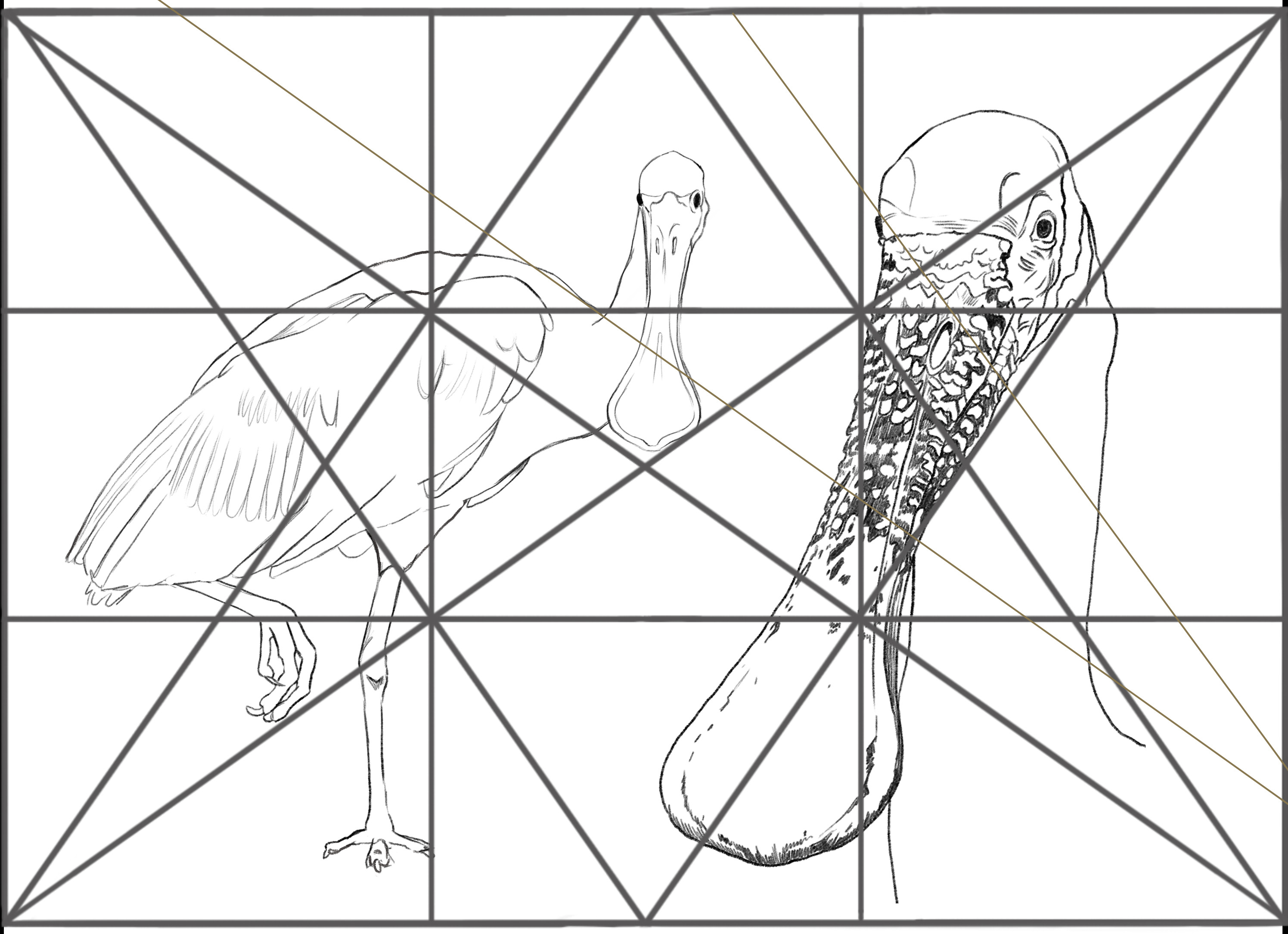 Caitlin Jordan - Louisiana Backyard Birds: A Closer Look at the Roseate ...