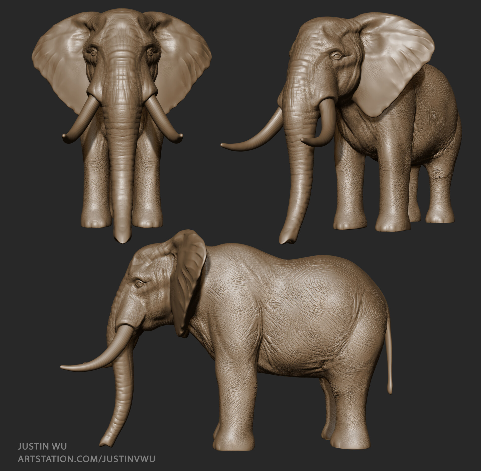 ArtStation - Elephant