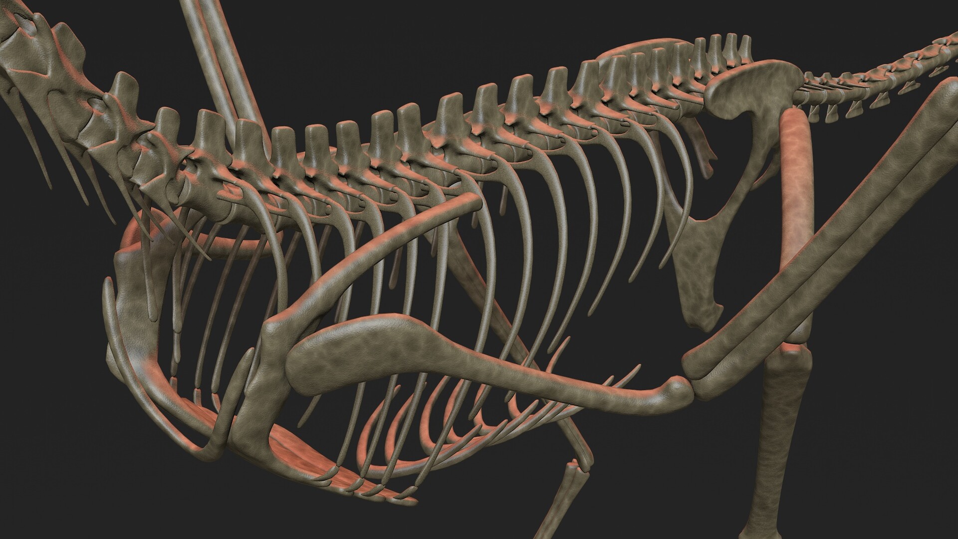 Evgeniy Mahnyov - Archaeopteryx skeleton