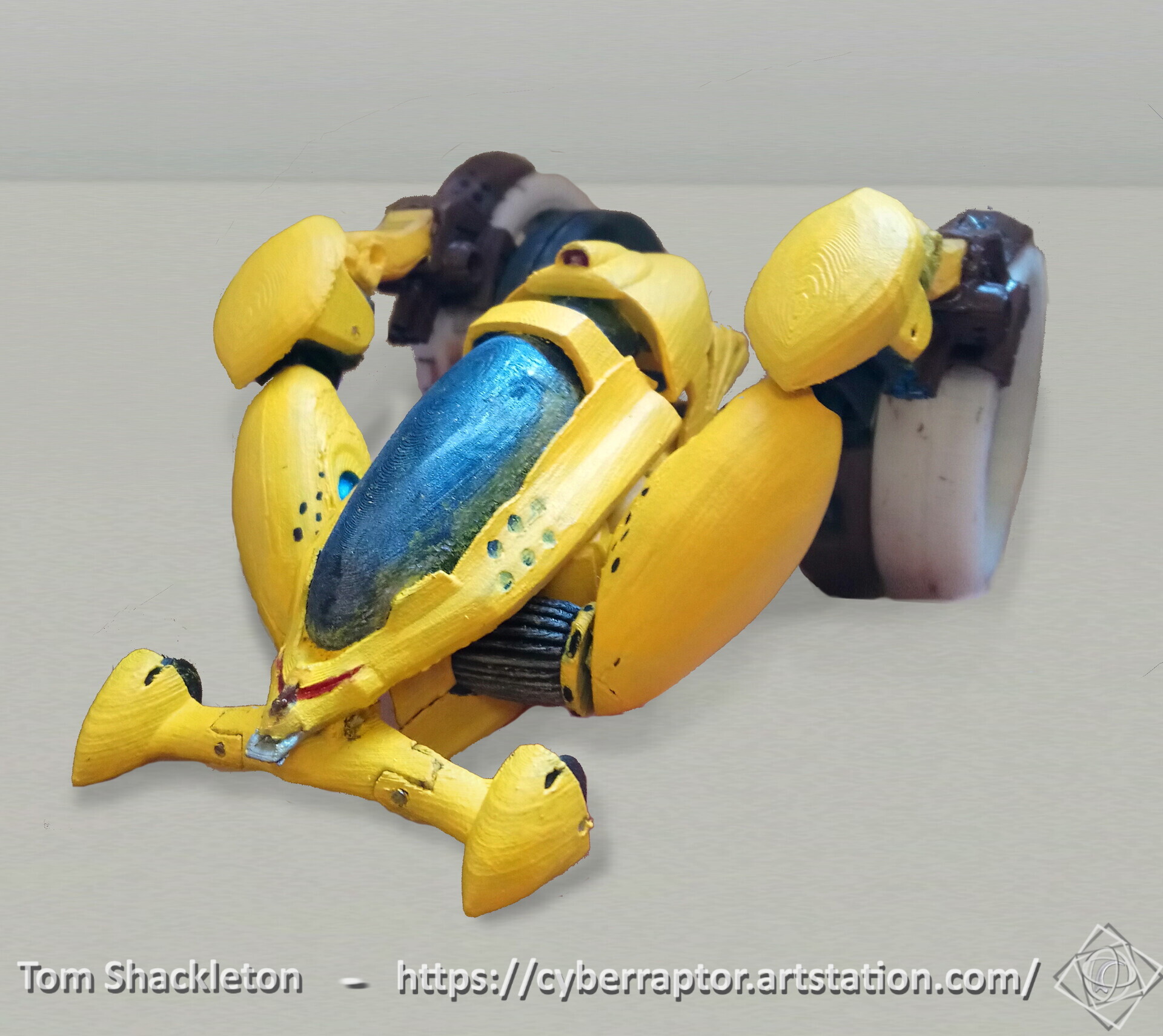 Tom Shackleton - Transtech Cheetor