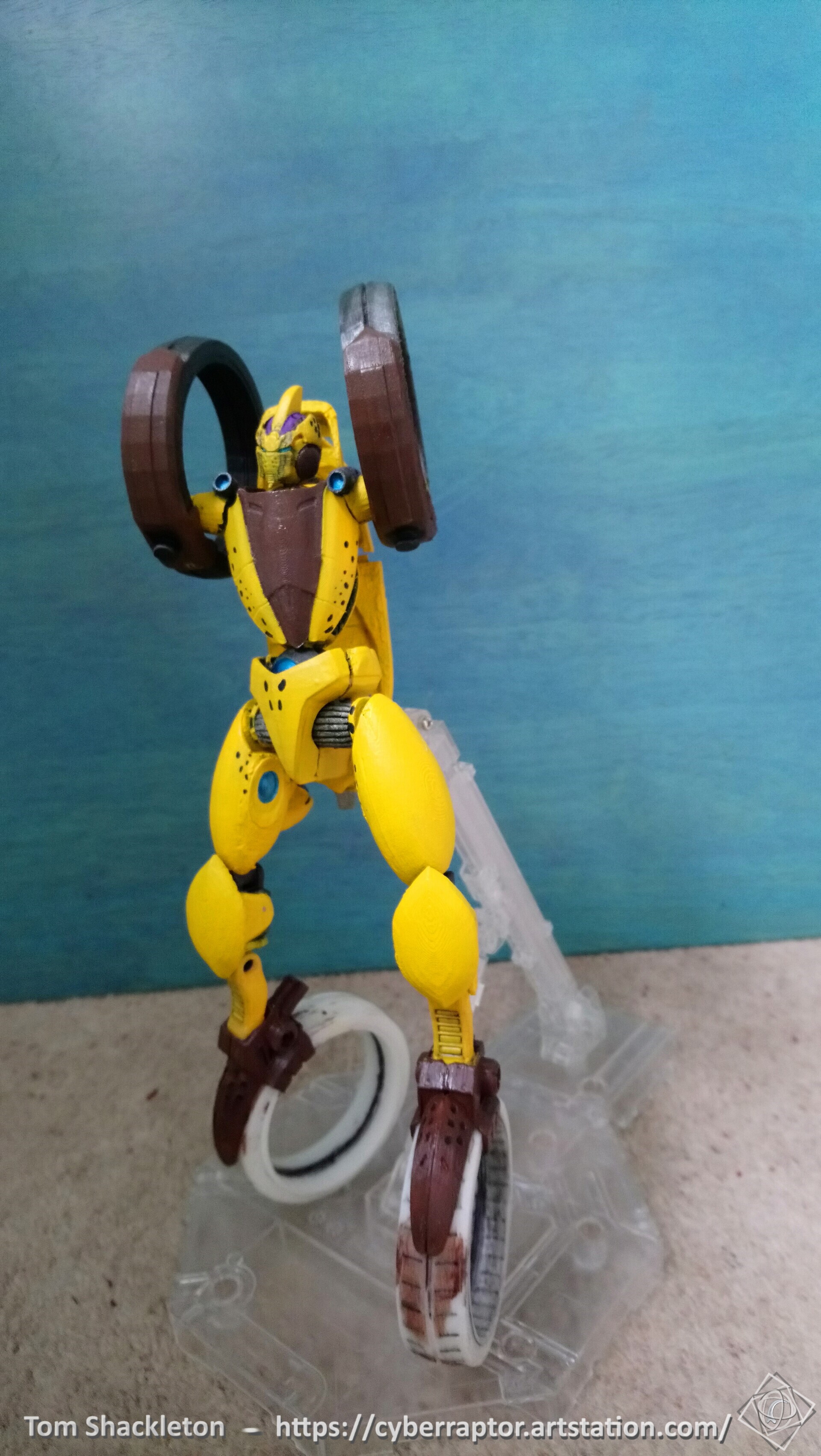 Tom Shackleton - Transtech Cheetor