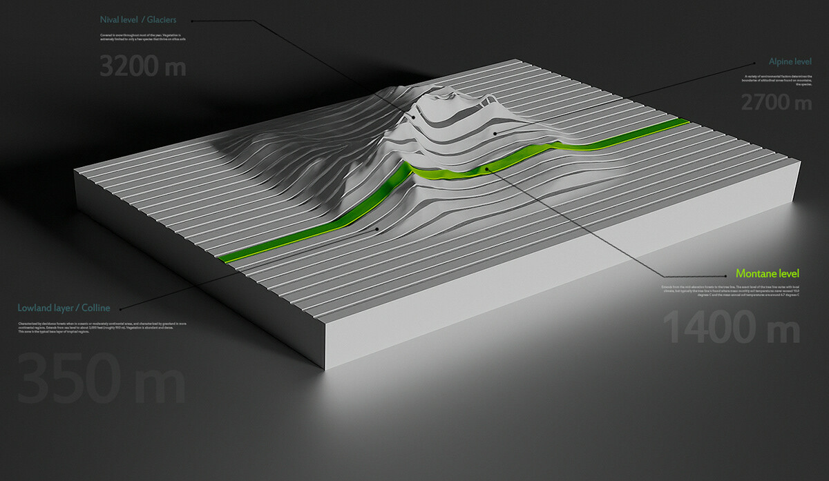 ArtStation - Mountain Ecological Infography