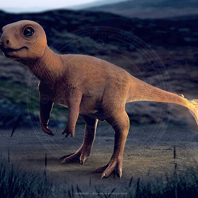 Joshua Dunlop - Pokemon Zoology