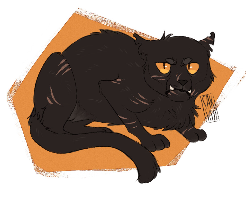 Elizabeth Harrison - Cats