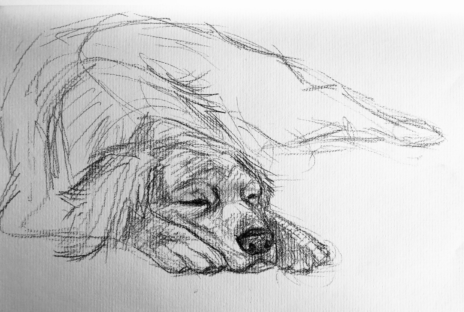 Ellen Mowat - Life Drawing Portfolio