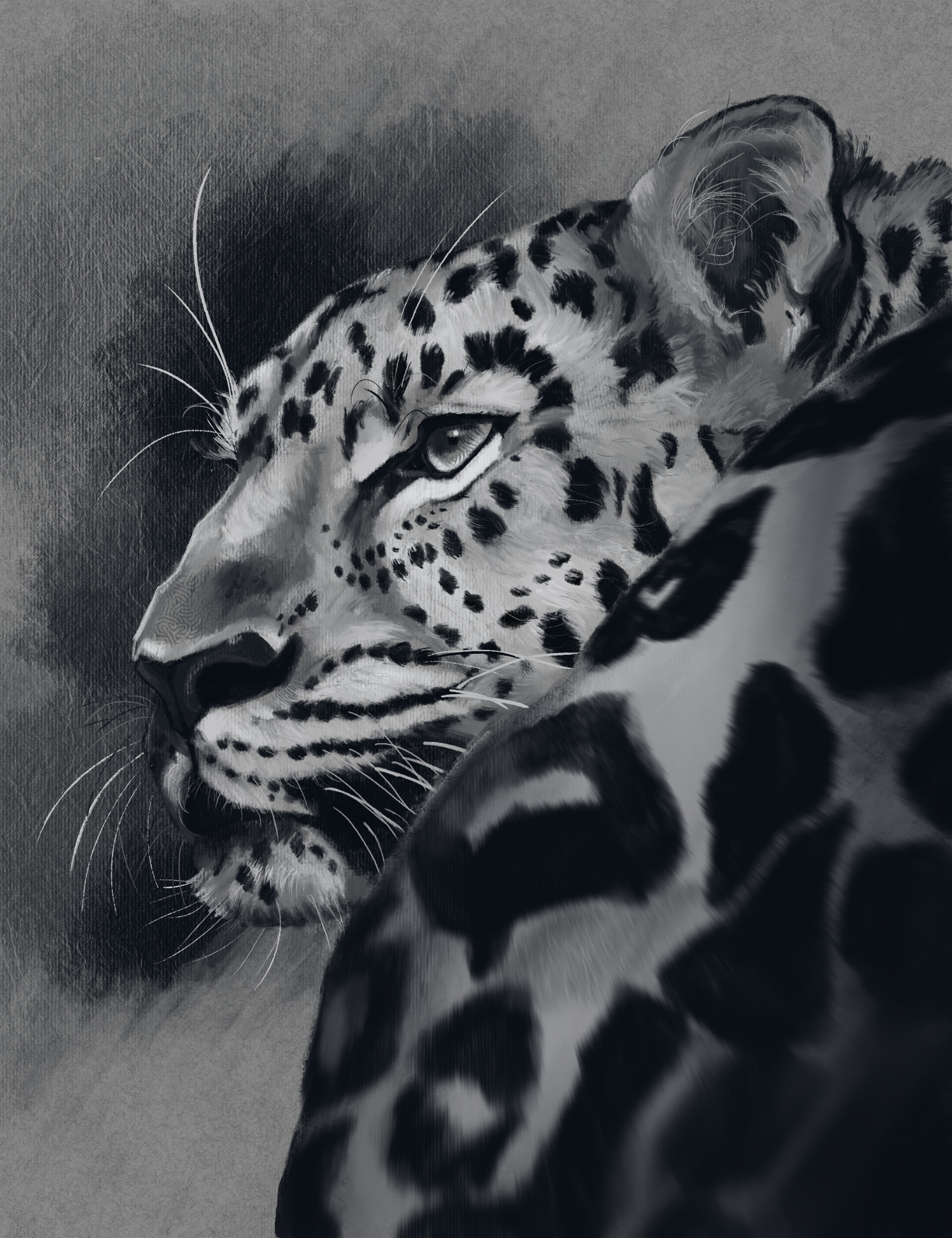 ArtStation - Leopard study