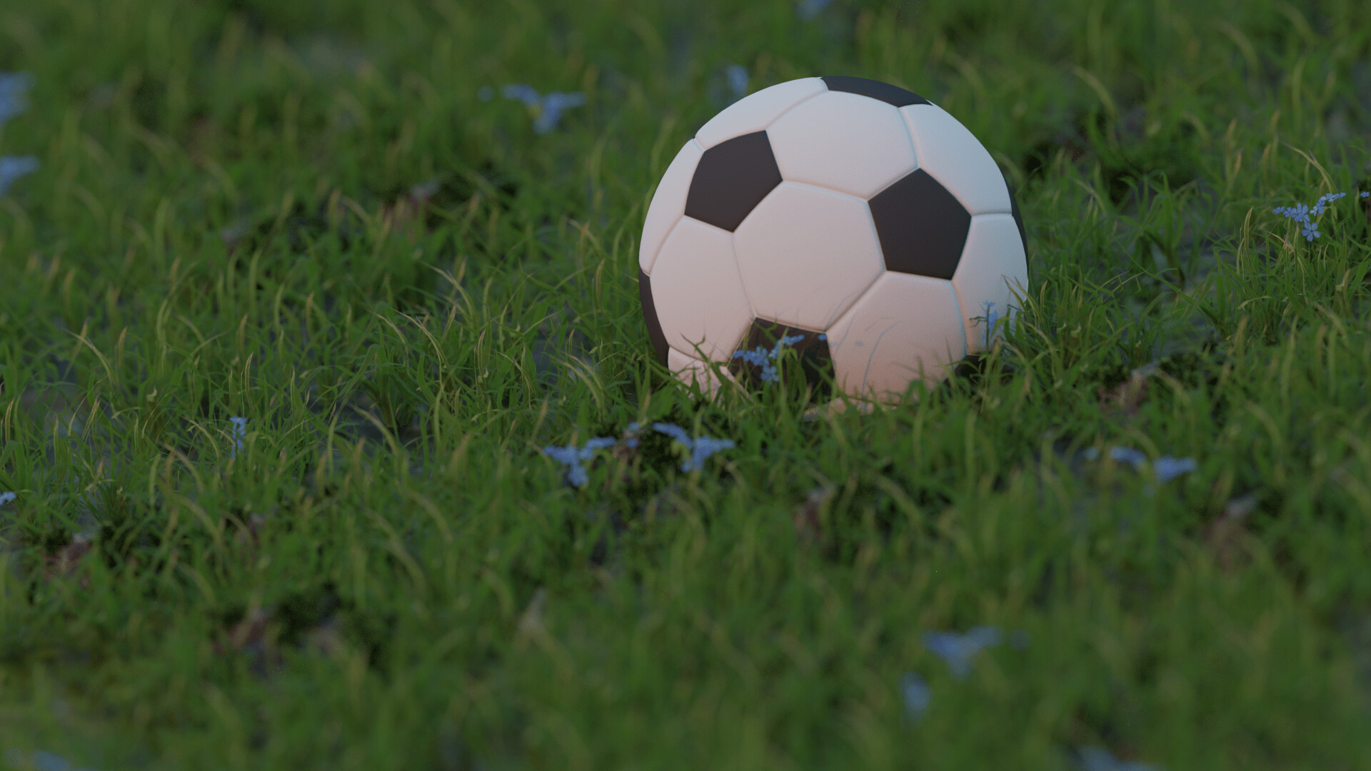 ArtStation - Grassfield-Football