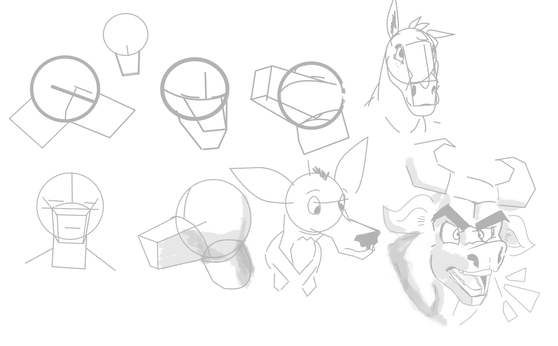 ArtStation - Simplifying the head.