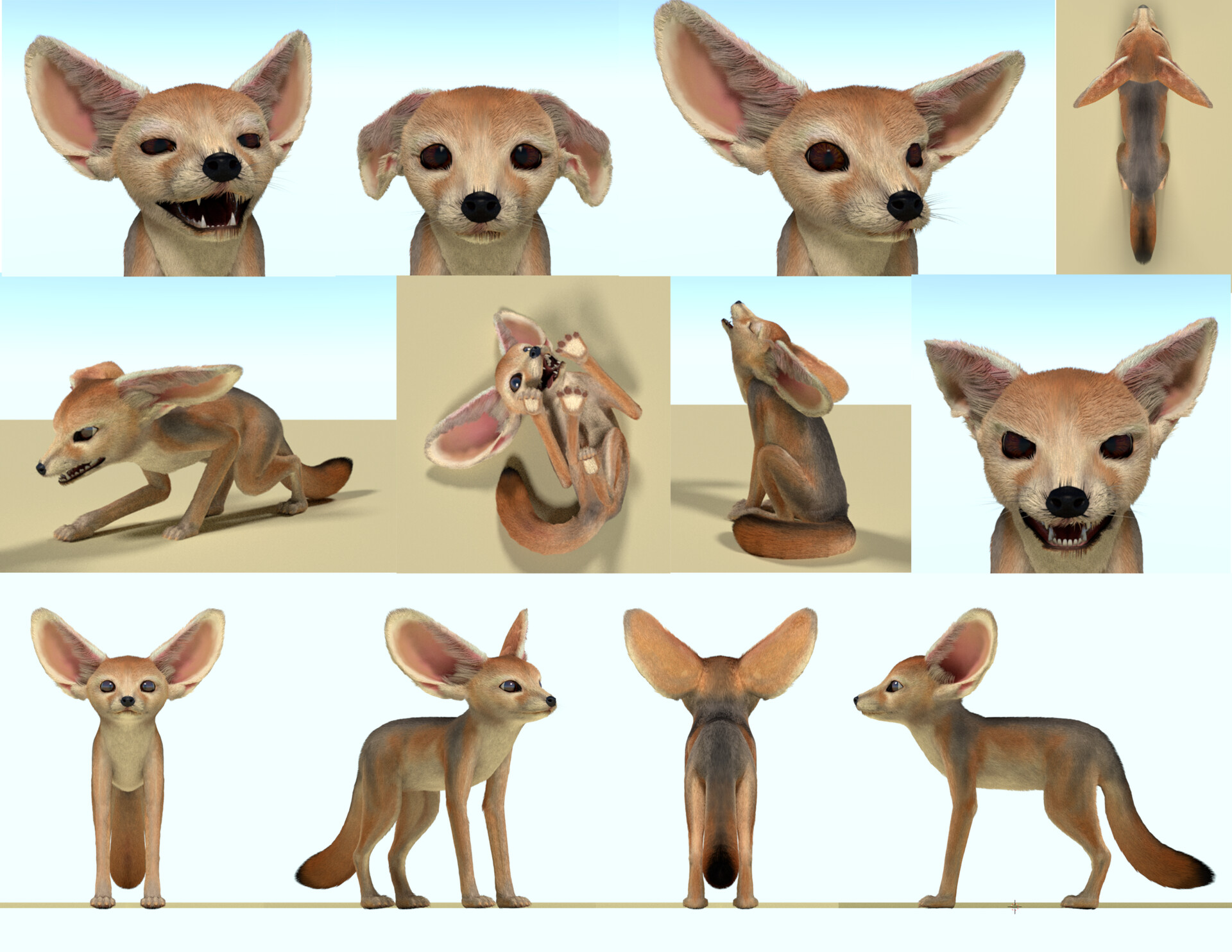 Veronika Rovderova - Fennec foxes