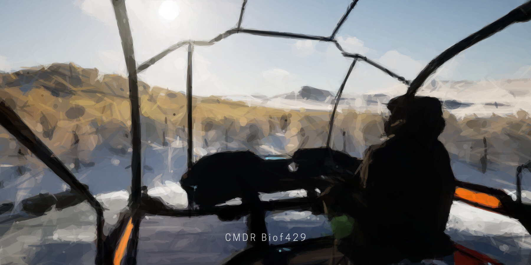 Rowdy - ASP Explorer atmospheric flight - Elite Dangerous