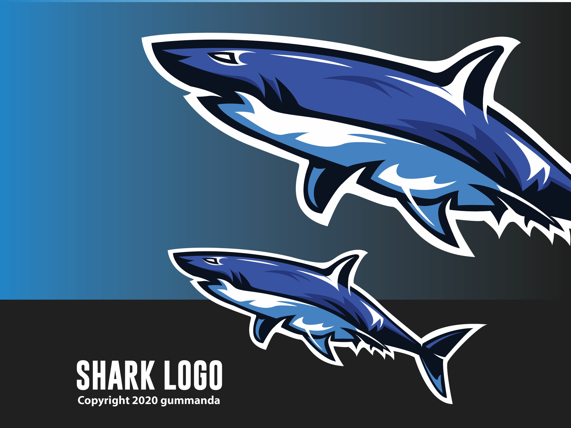 ArtStation - Shark Logo Illustration