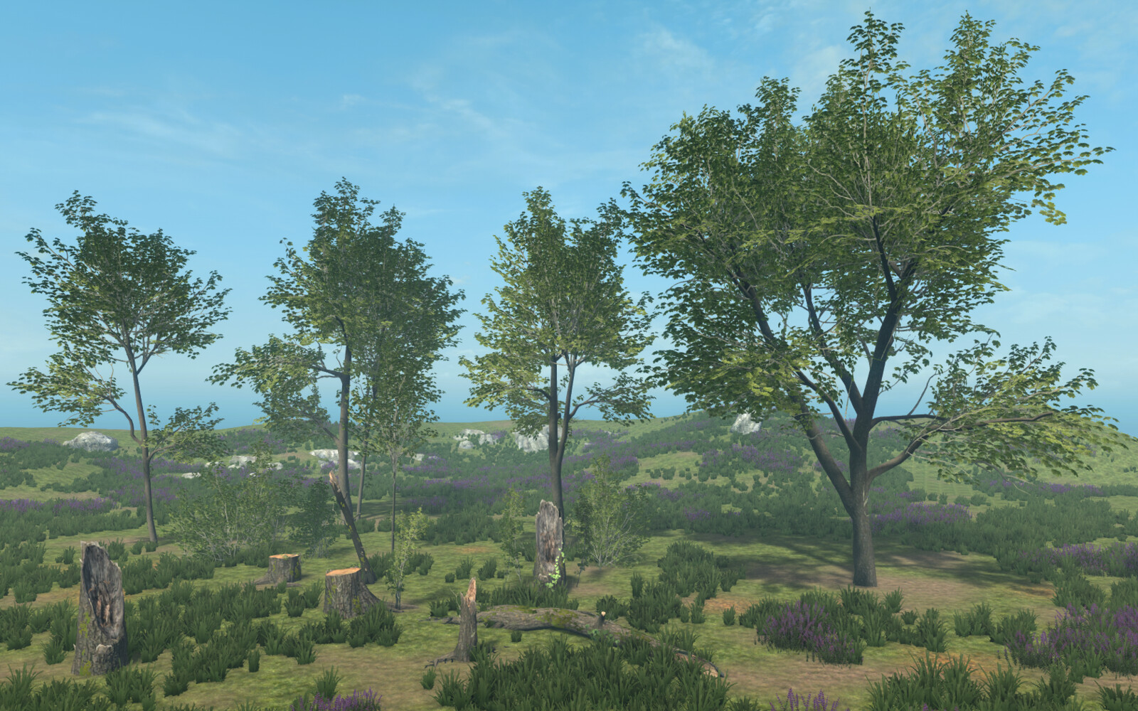 Oleg Gaidaev - Beyond Skyrim - Cyrodiil: Maple Trees