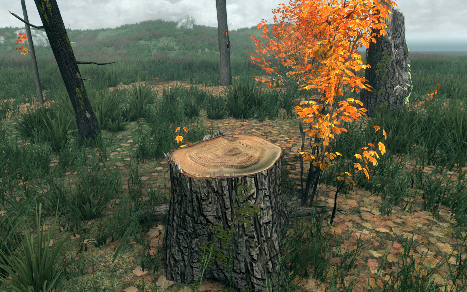 Oleg Gaidaev - Beyond Skyrim - Cyrodiil: Maple Trees