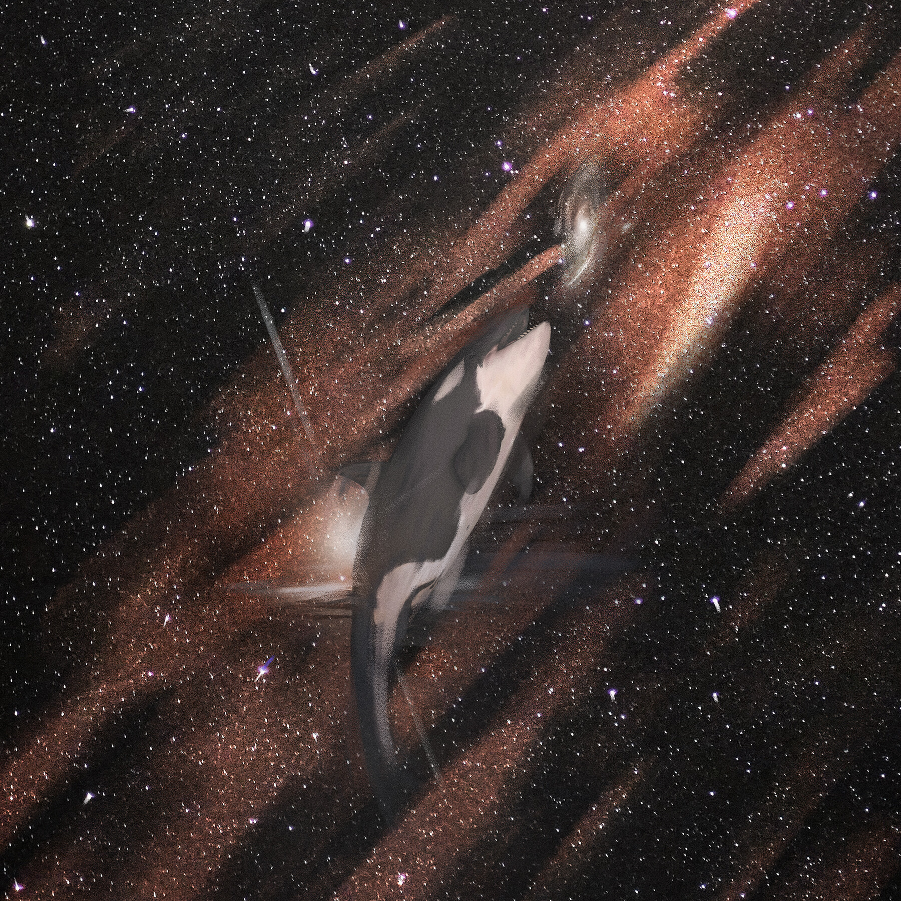 ArtStation - Space Orca