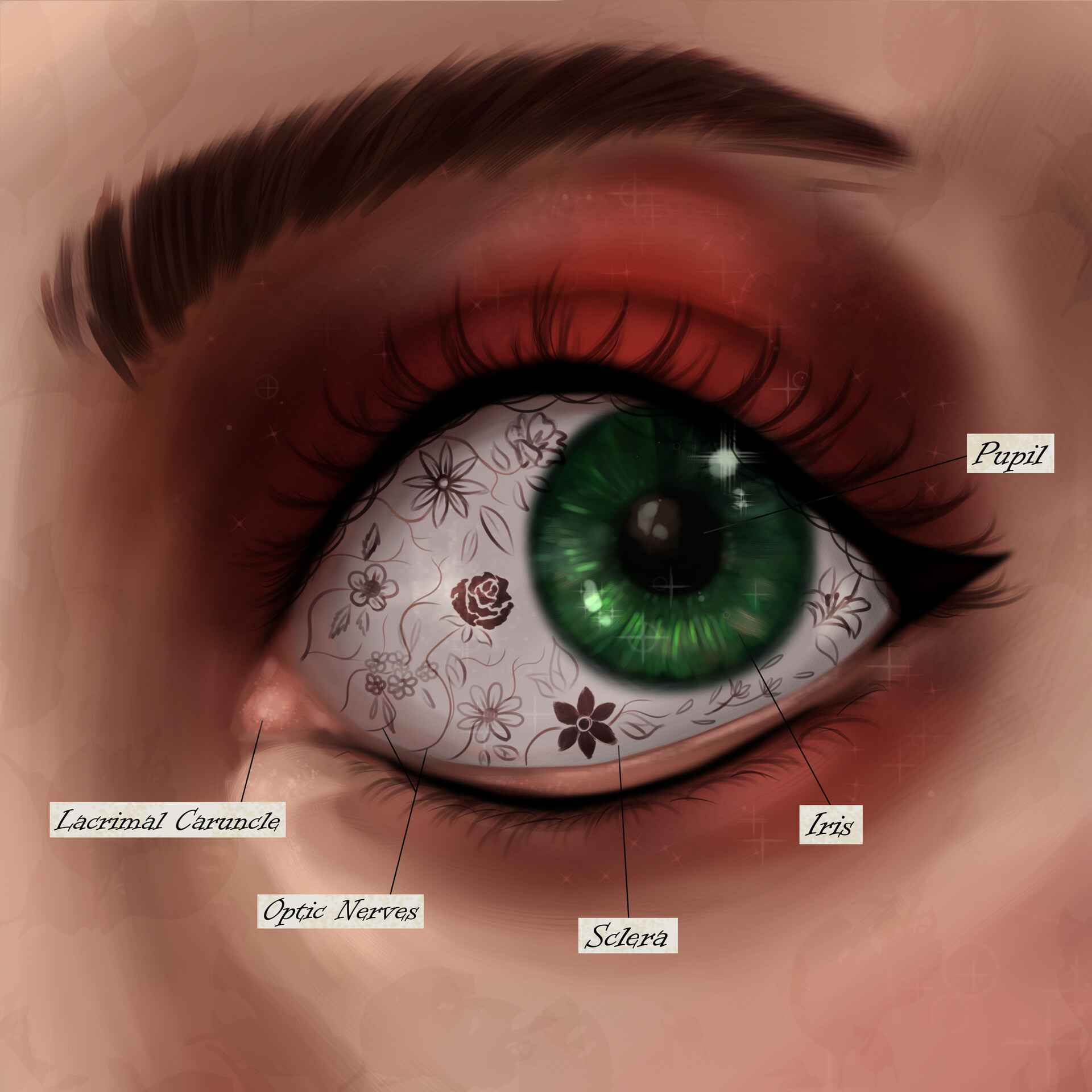 ArtStation - Anatomical Study Fantasy Eye