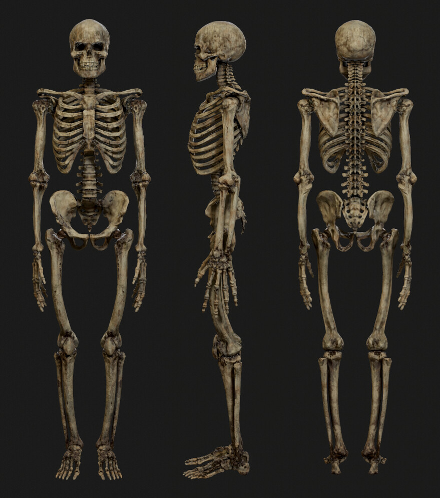 AnNa Jang - Magic Ride 3D _ skeleton