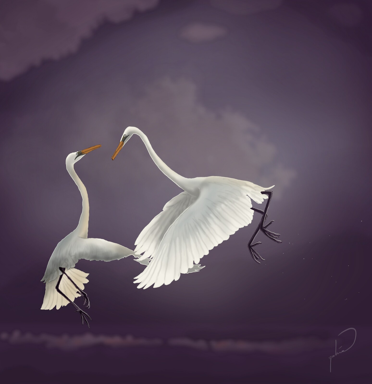 Zahid Hossain - Battling Egrets