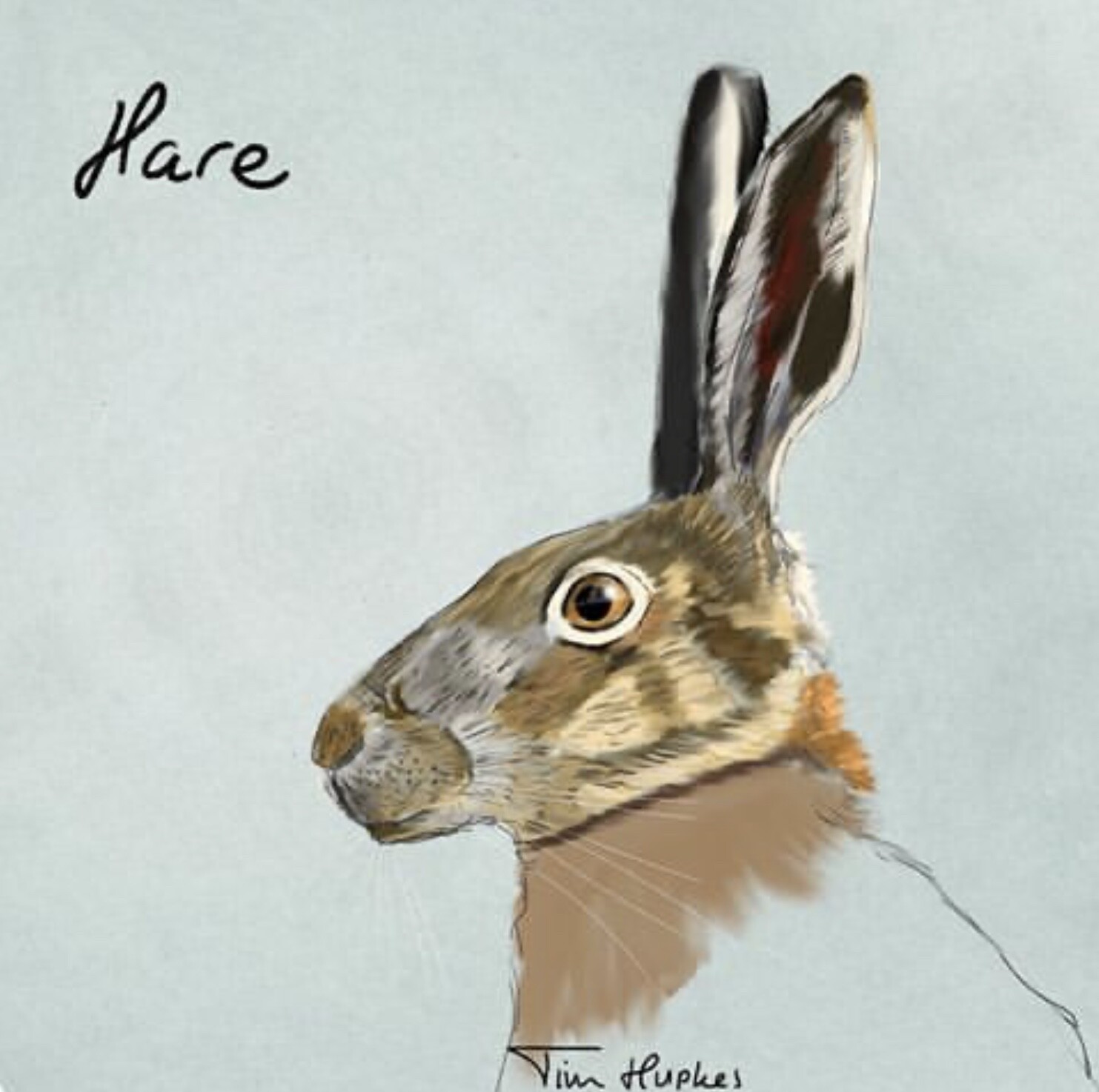 ArtStation - Hare