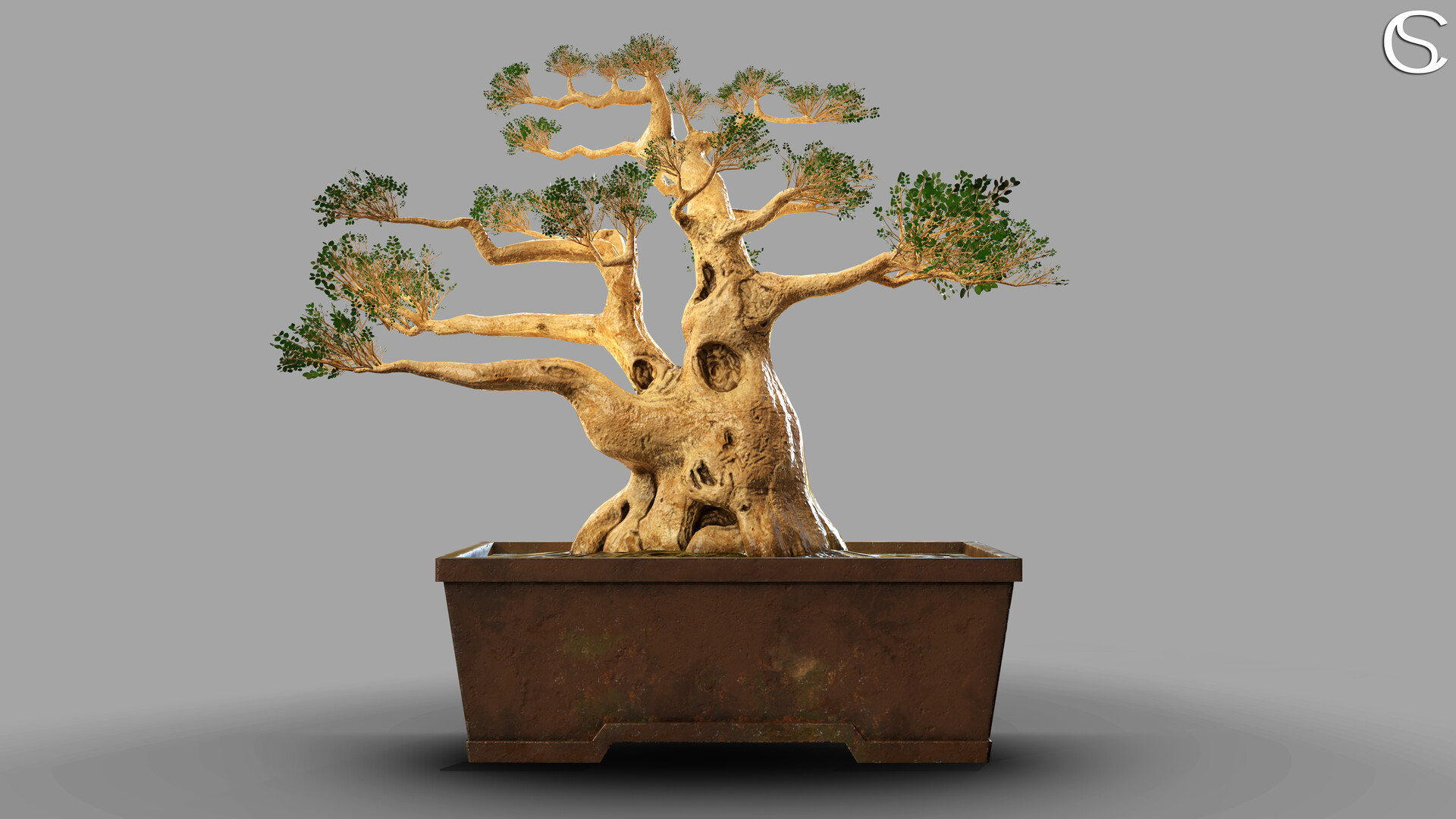 ArtStation - Bonzai Tree (Game Props)