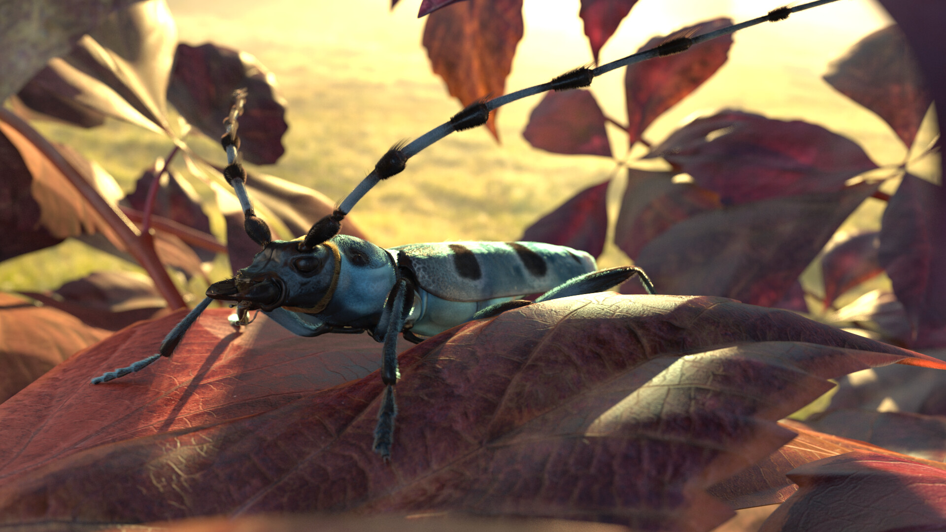ArtStation - Pompom Insect